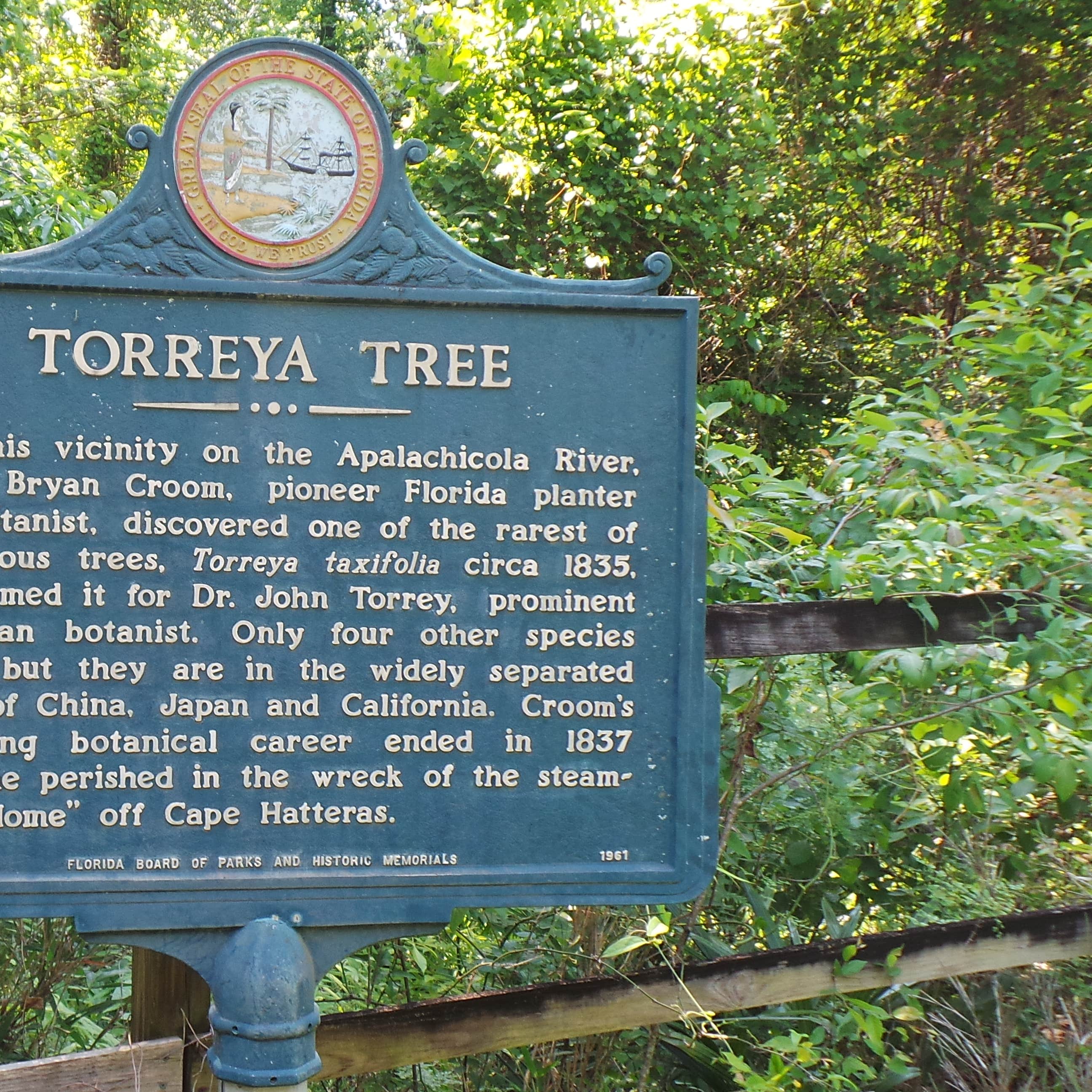 Torreya State Park Camping | The Dyrt