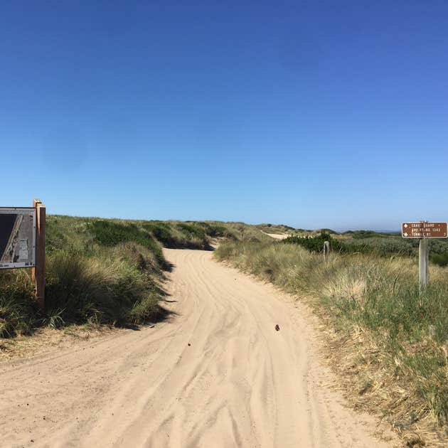Horsfall Beach Camping | North Bend, Oregon