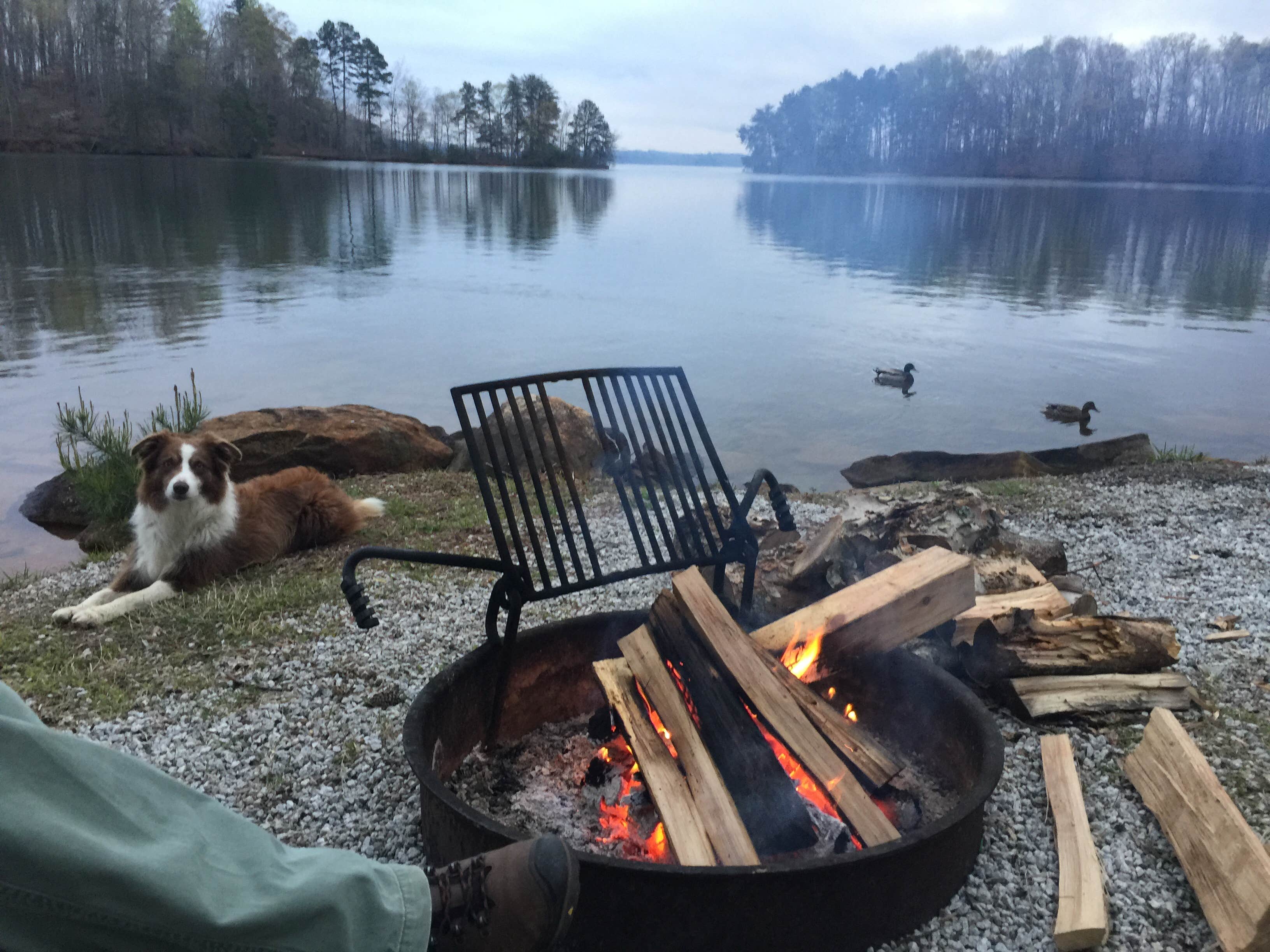 Mile Creek County Park Camping | Tamassee, South Carolina