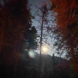 Junebug Campground Camping | The Dyrt