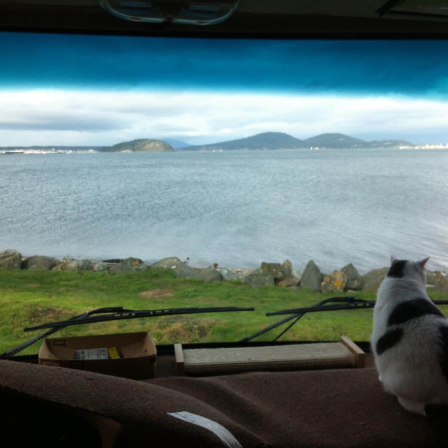 Fidalgo Bay Resort Camping | The Dyrt