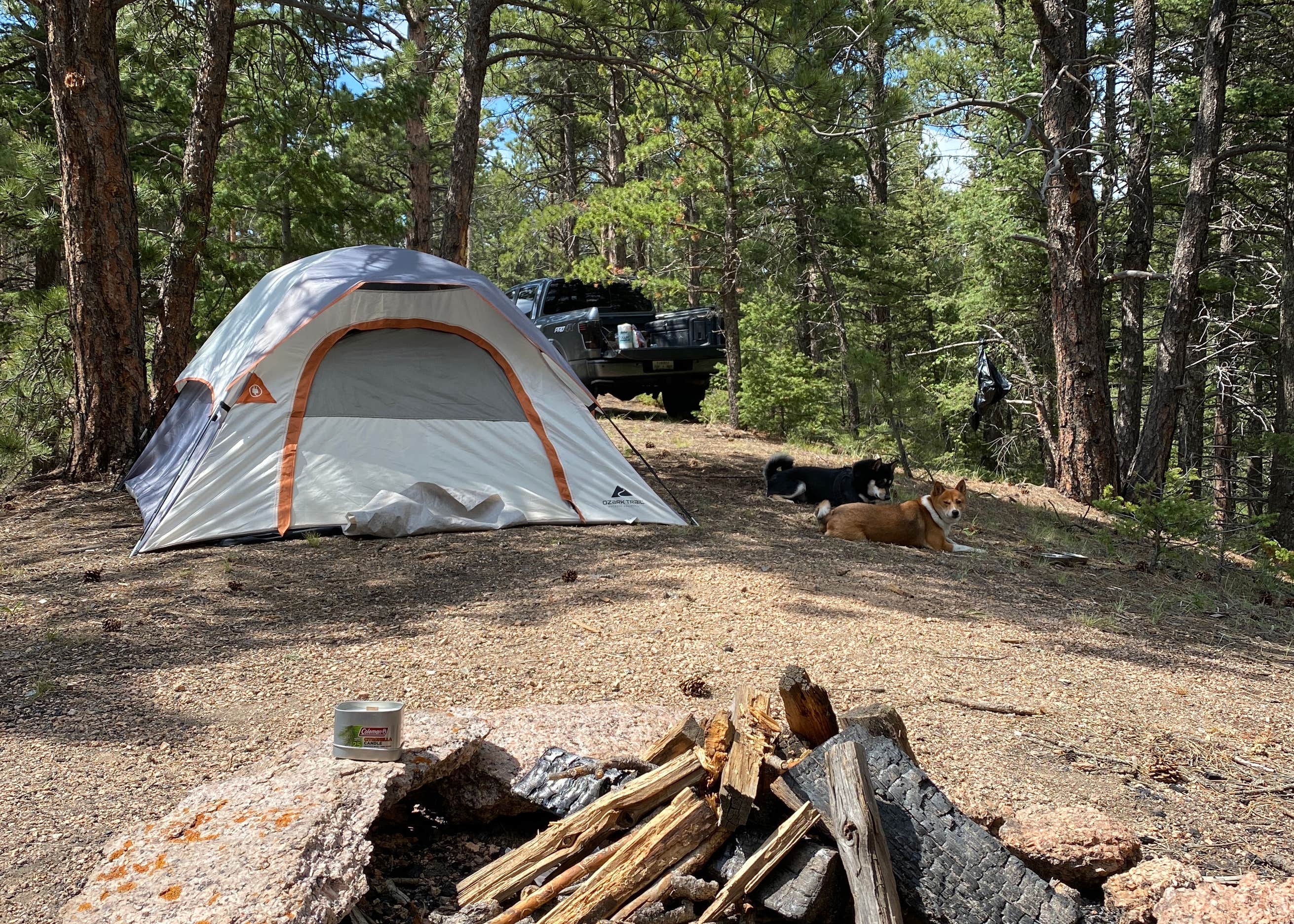 Mount Herman Road Dispersed Camping Camping | The Dyrt