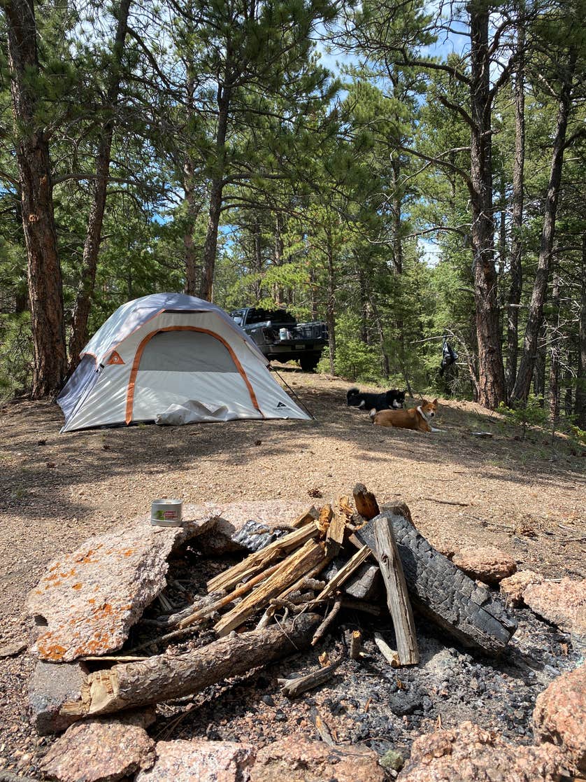 Mount Herman Road Dispersed Camping Camping | The Dyrt