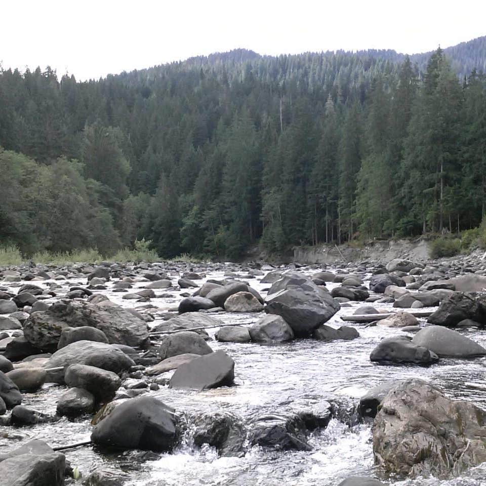 Gold Basin Campground | Granite Falls, Washington