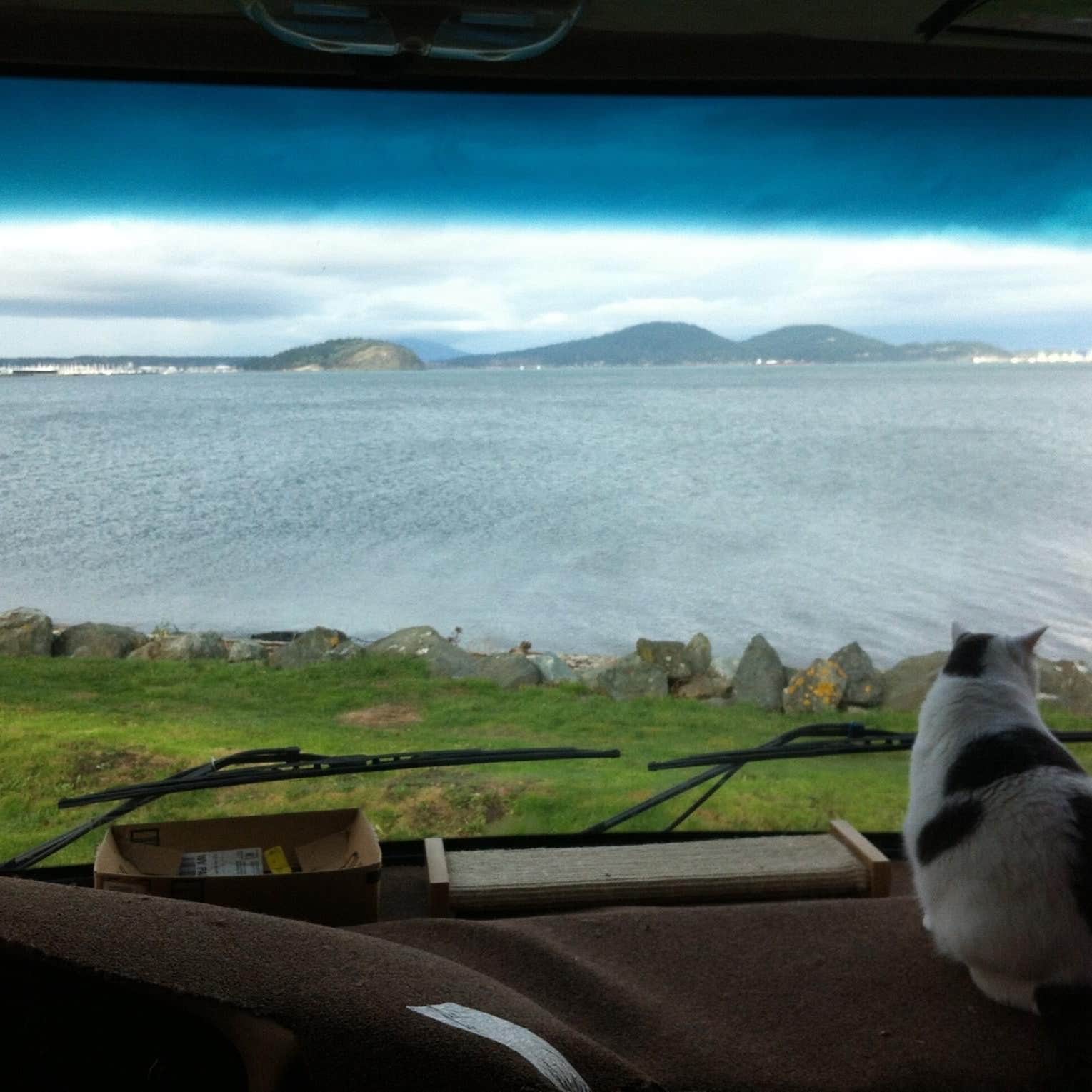 Fidalgo Bay Resort Camping | The Dyrt