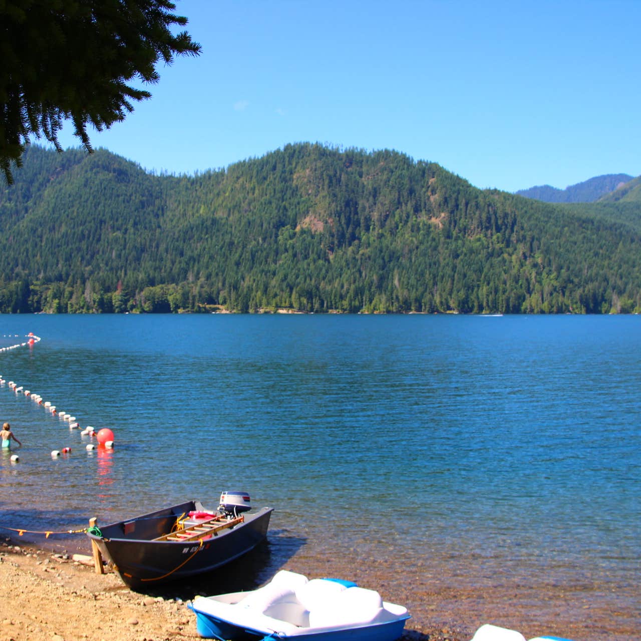Skokomish Park at Lake Cushman Camping | The Dyrt