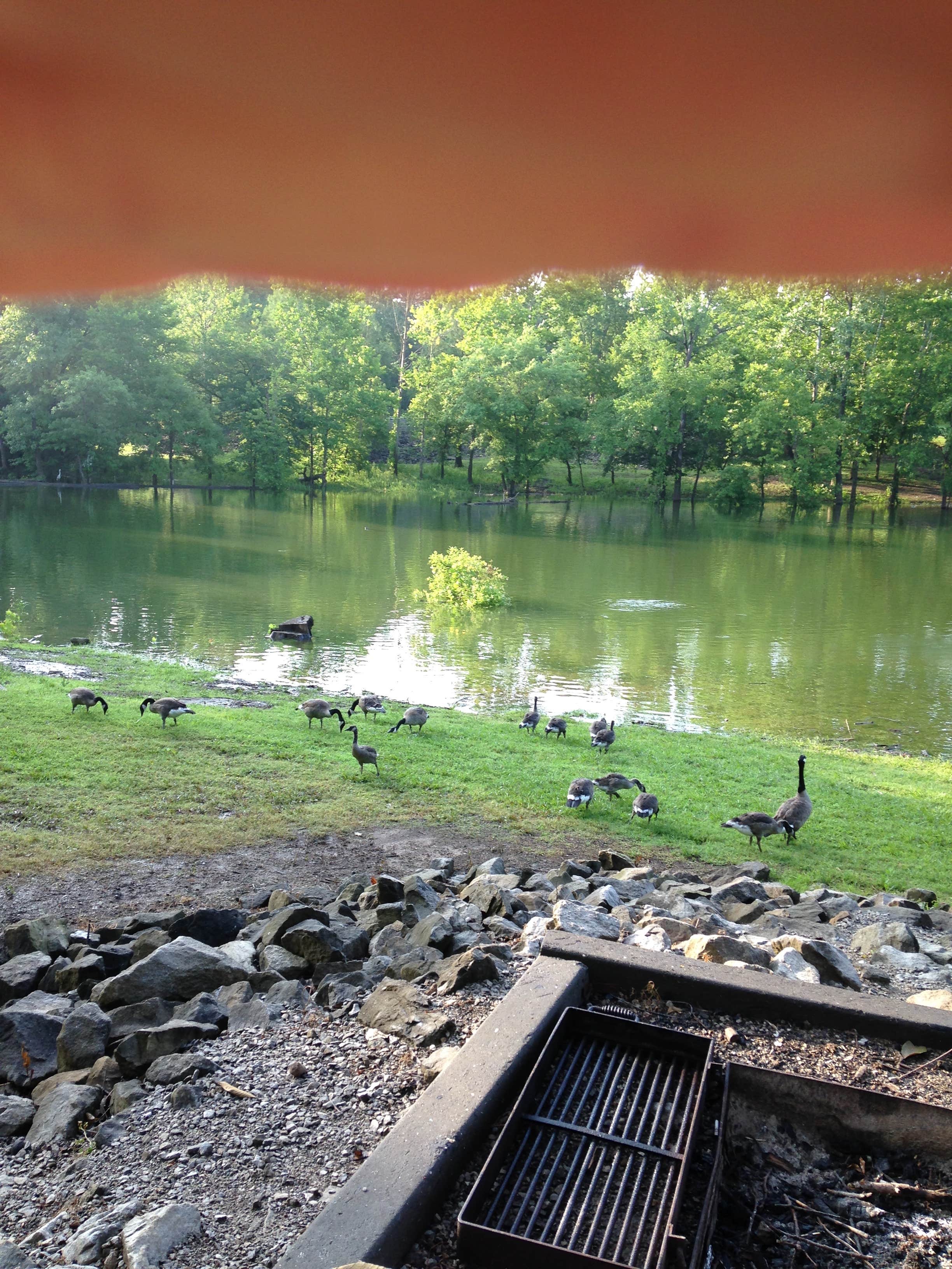 Wax - Nolin River Lake | The Dyrt