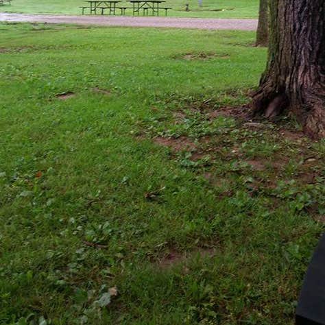 Thousand Trails Gettysburg Farm Camping | The Dyrt