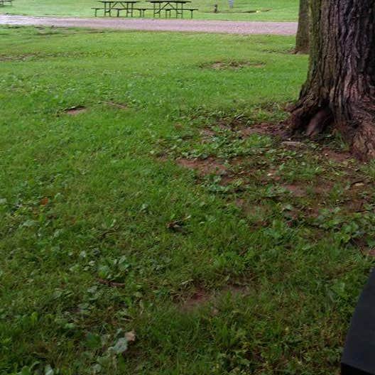 Gettysburg Farm RV Campground Camping | The Dyrt