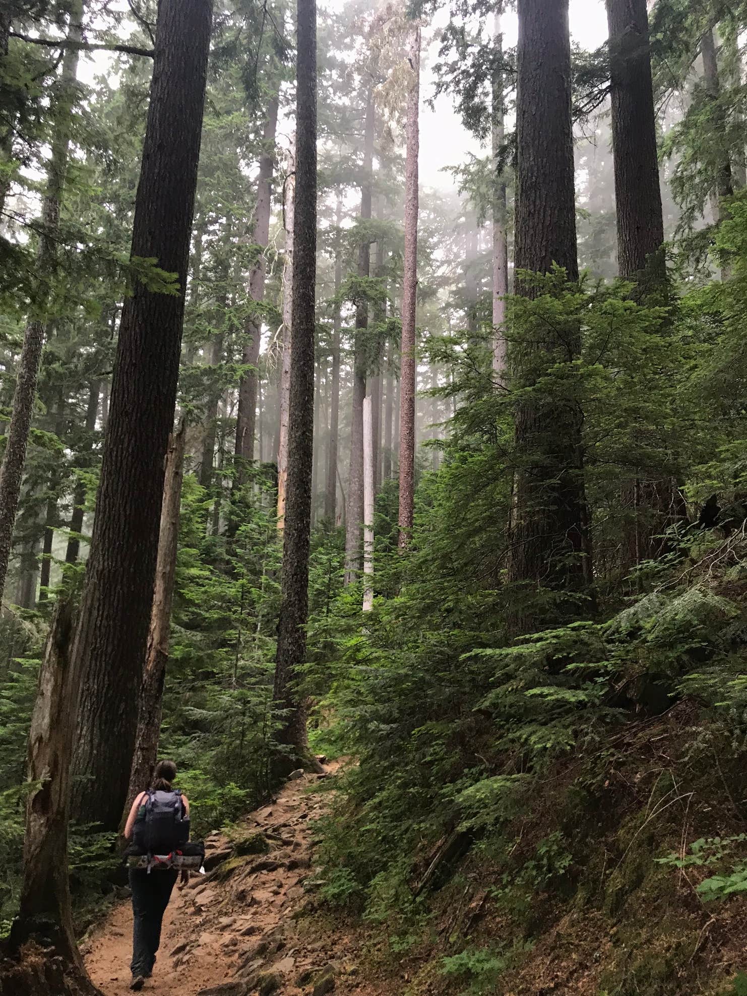 Annette Lake | The Dyrt