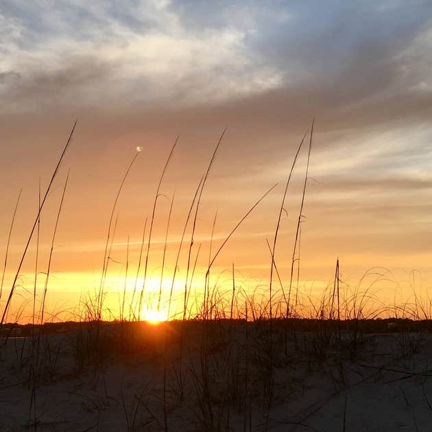 Freeman Park Camping | The Dyrt