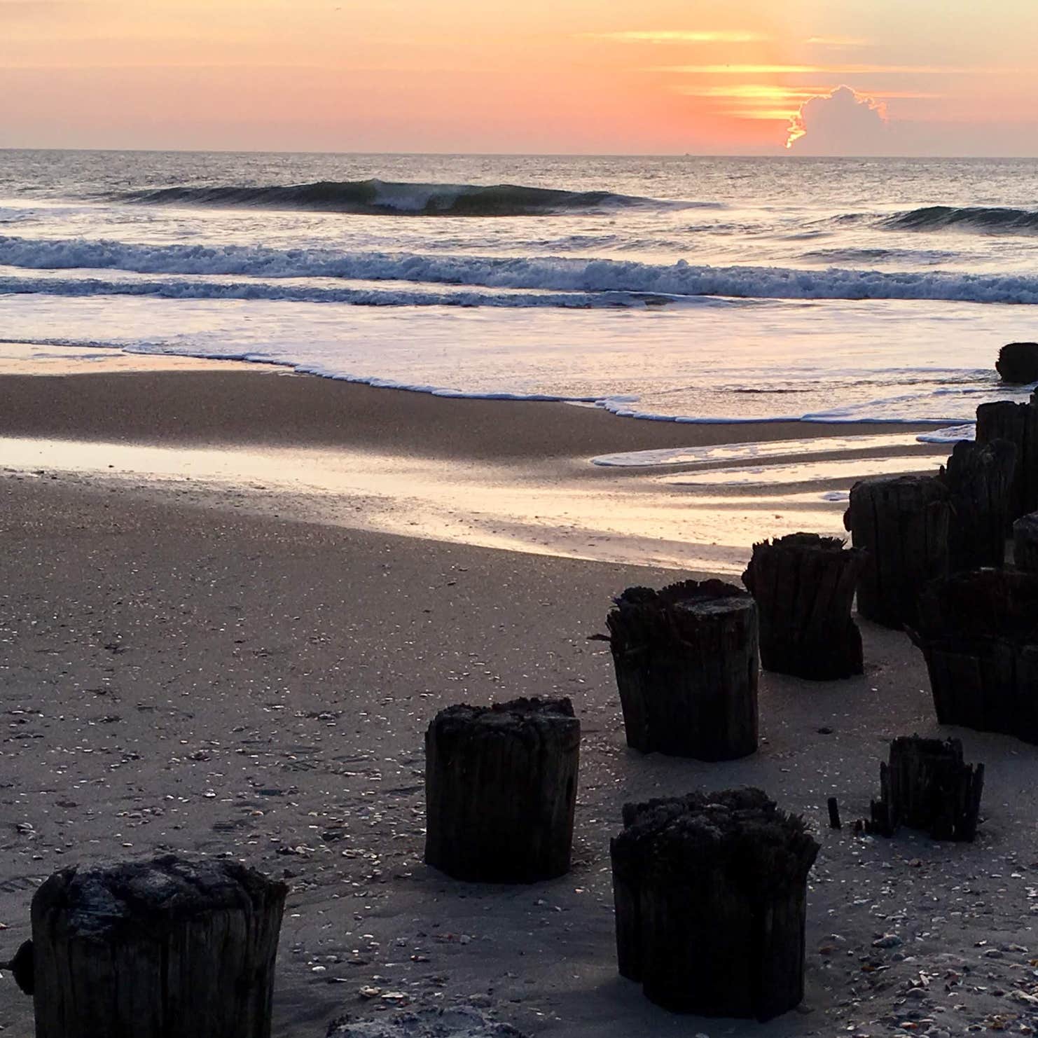 Freeman Park Camping | The Dyrt