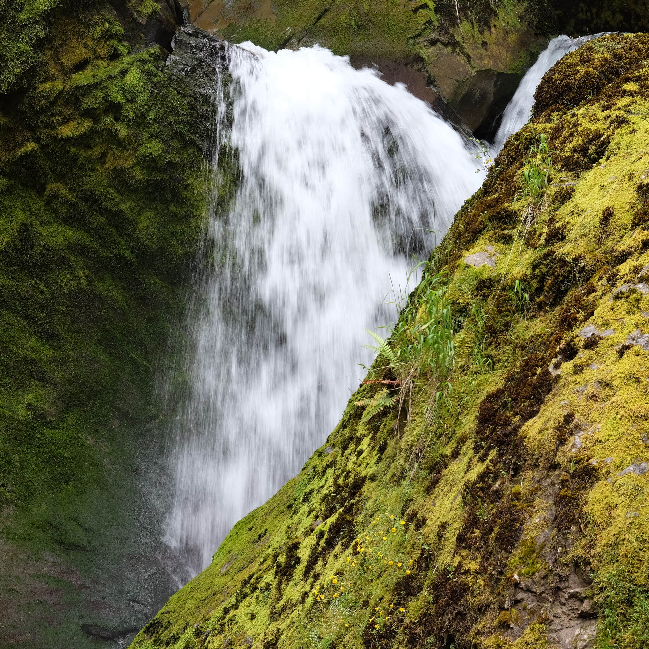 House Rock Campground | Cascadia, Oregon
