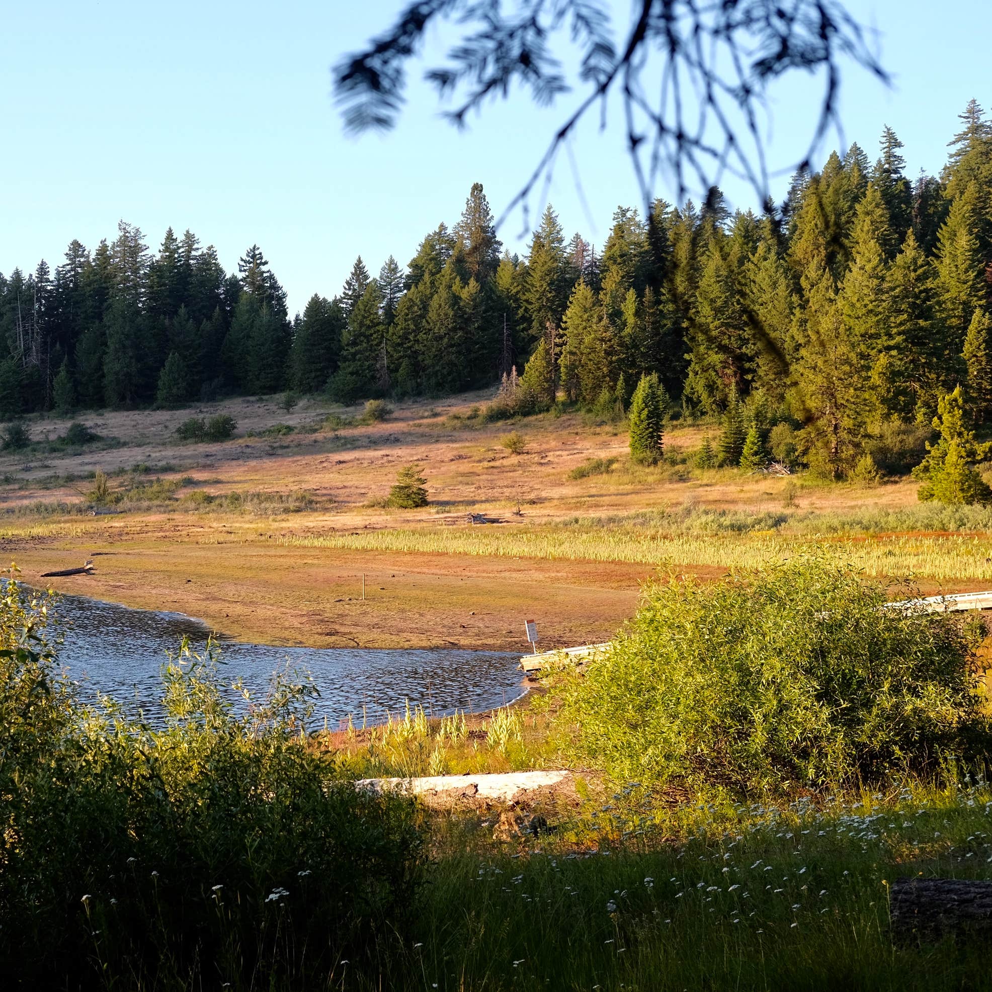 Hyatt Lake Recreation Area Camping | Ashland, Oregon