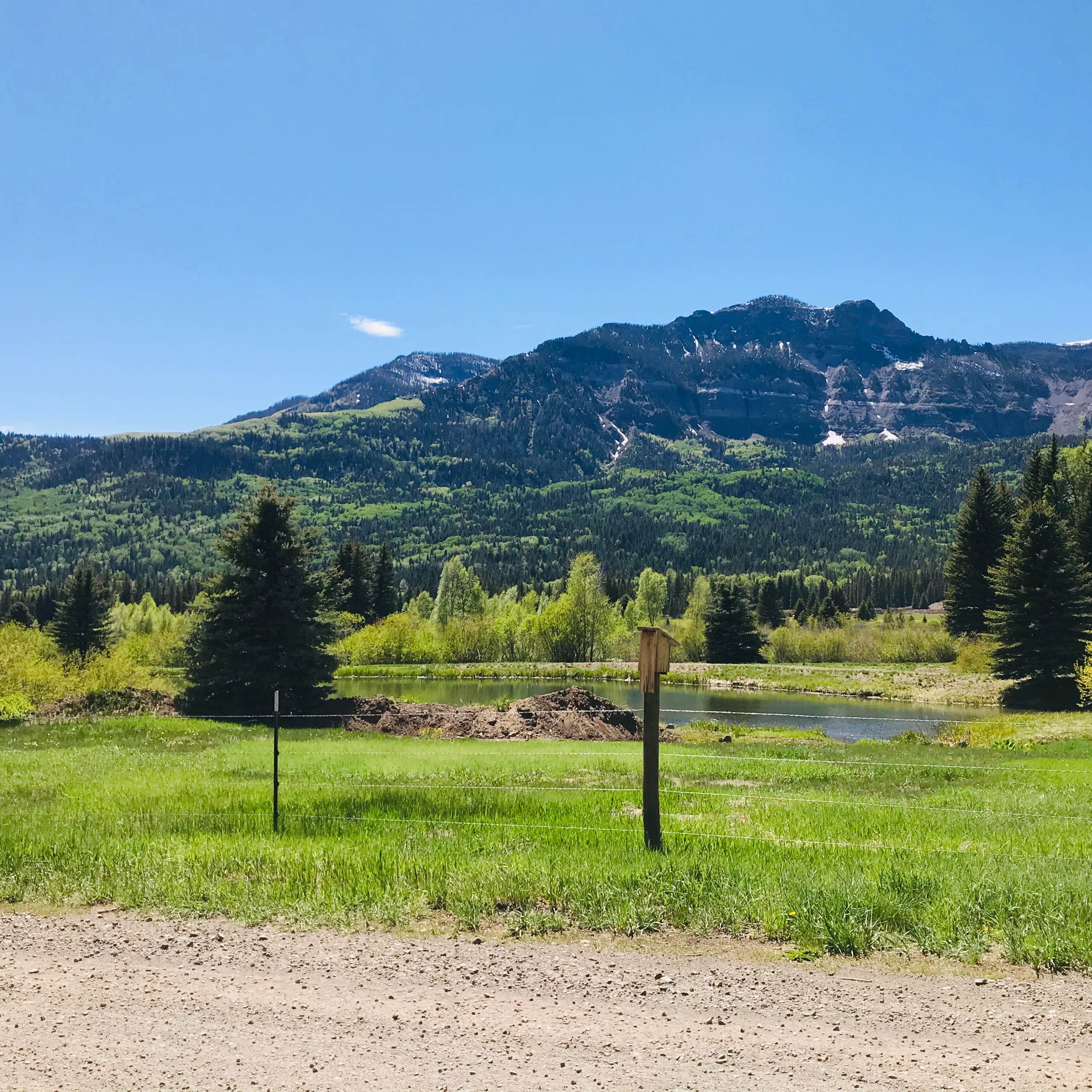 Bruce Spruce Ranch Camping | The Dyrt