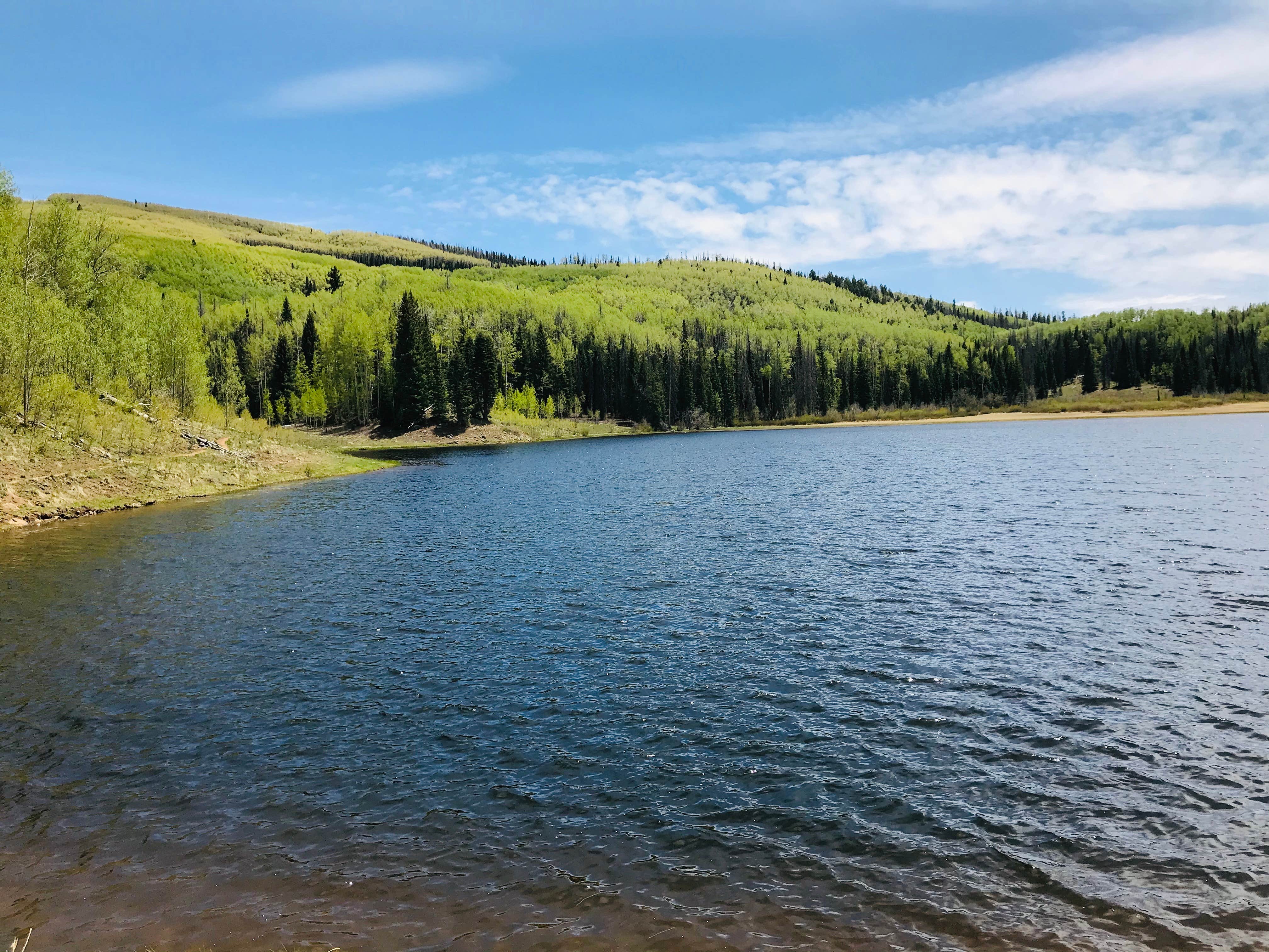 Bruce Spruce Ranch Camping | Pagosa Springs, Colorado