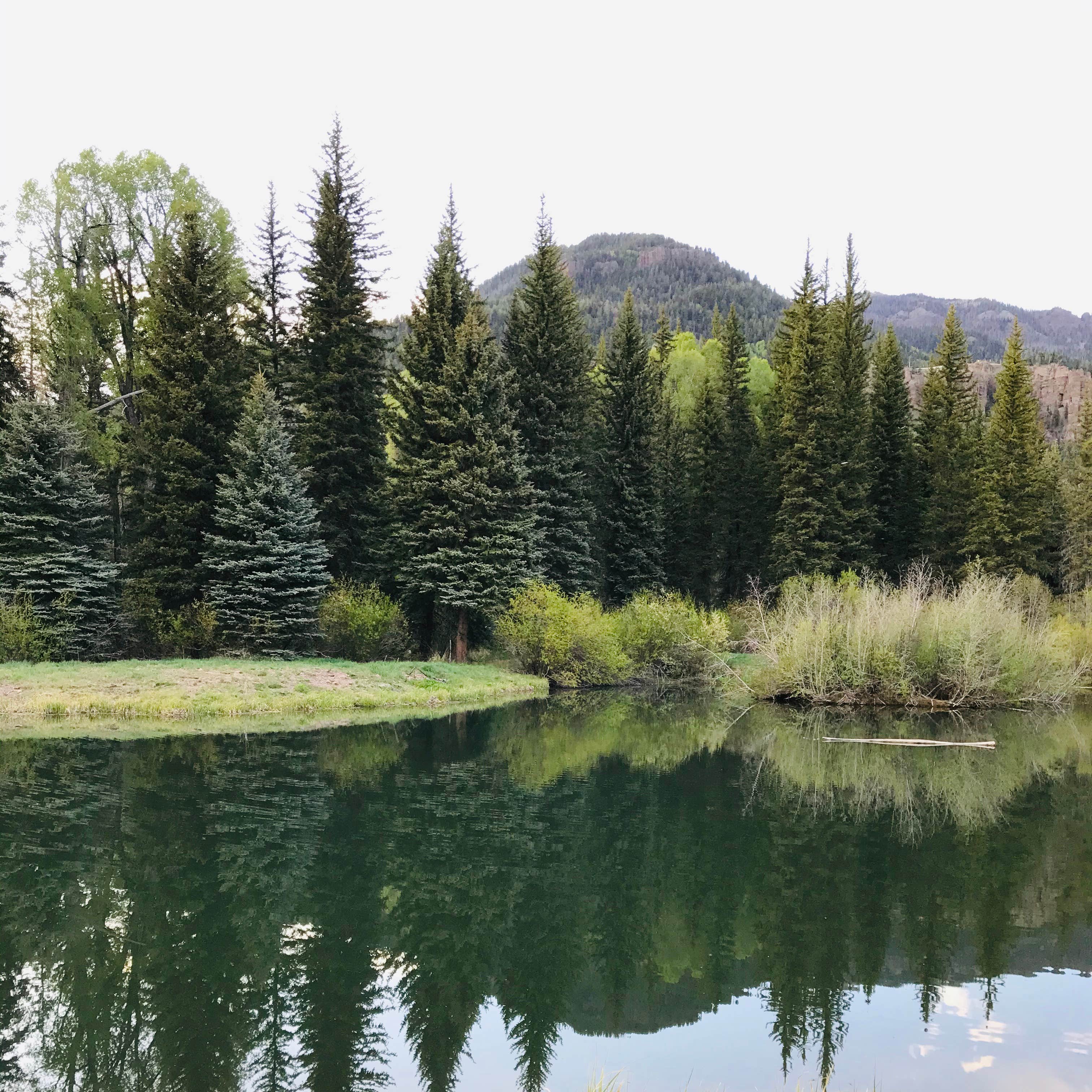 Bruce Spruce Ranch Camping | The Dyrt