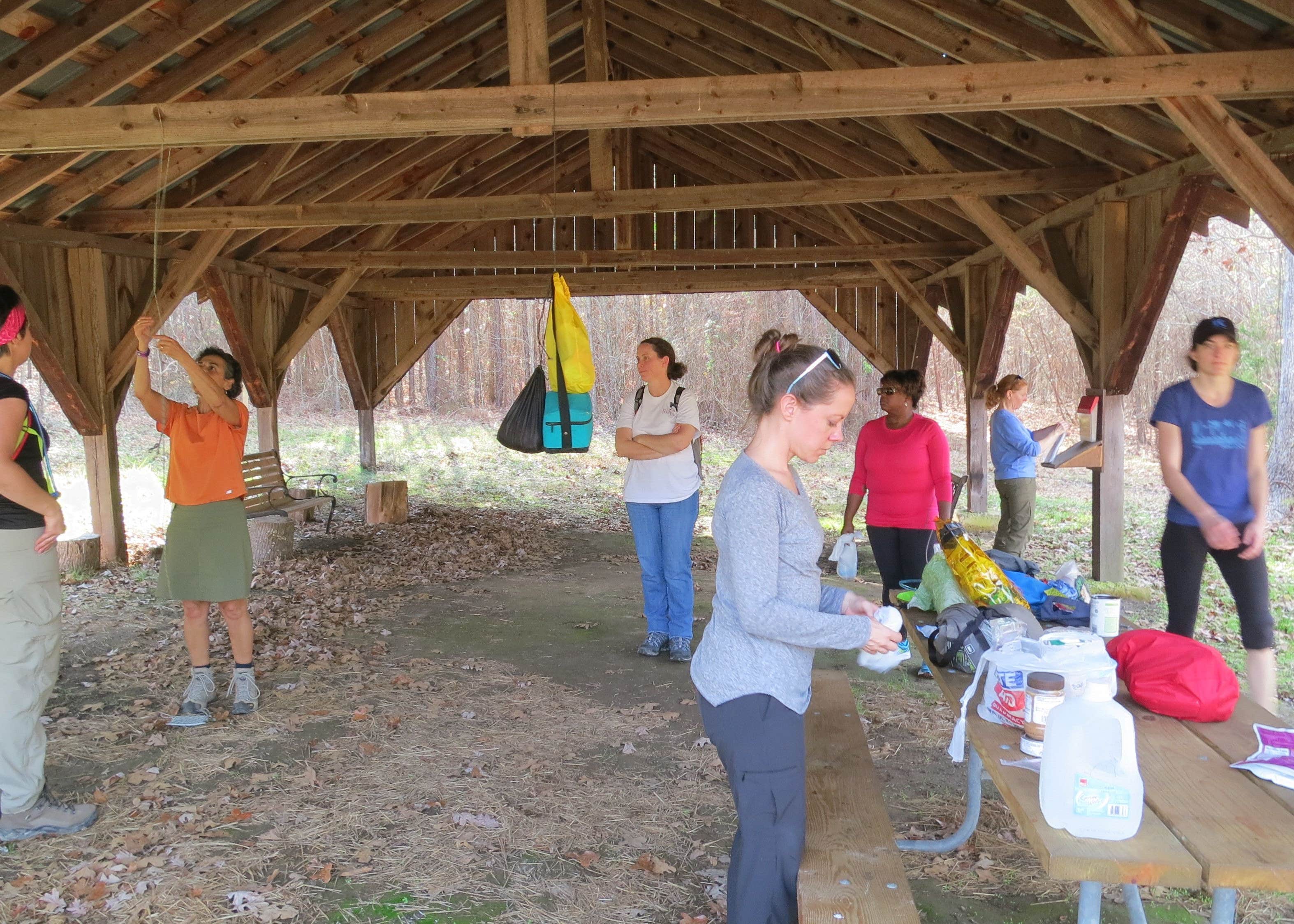 MST Section 23 Falls Lake Camping Camping | The Dyrt