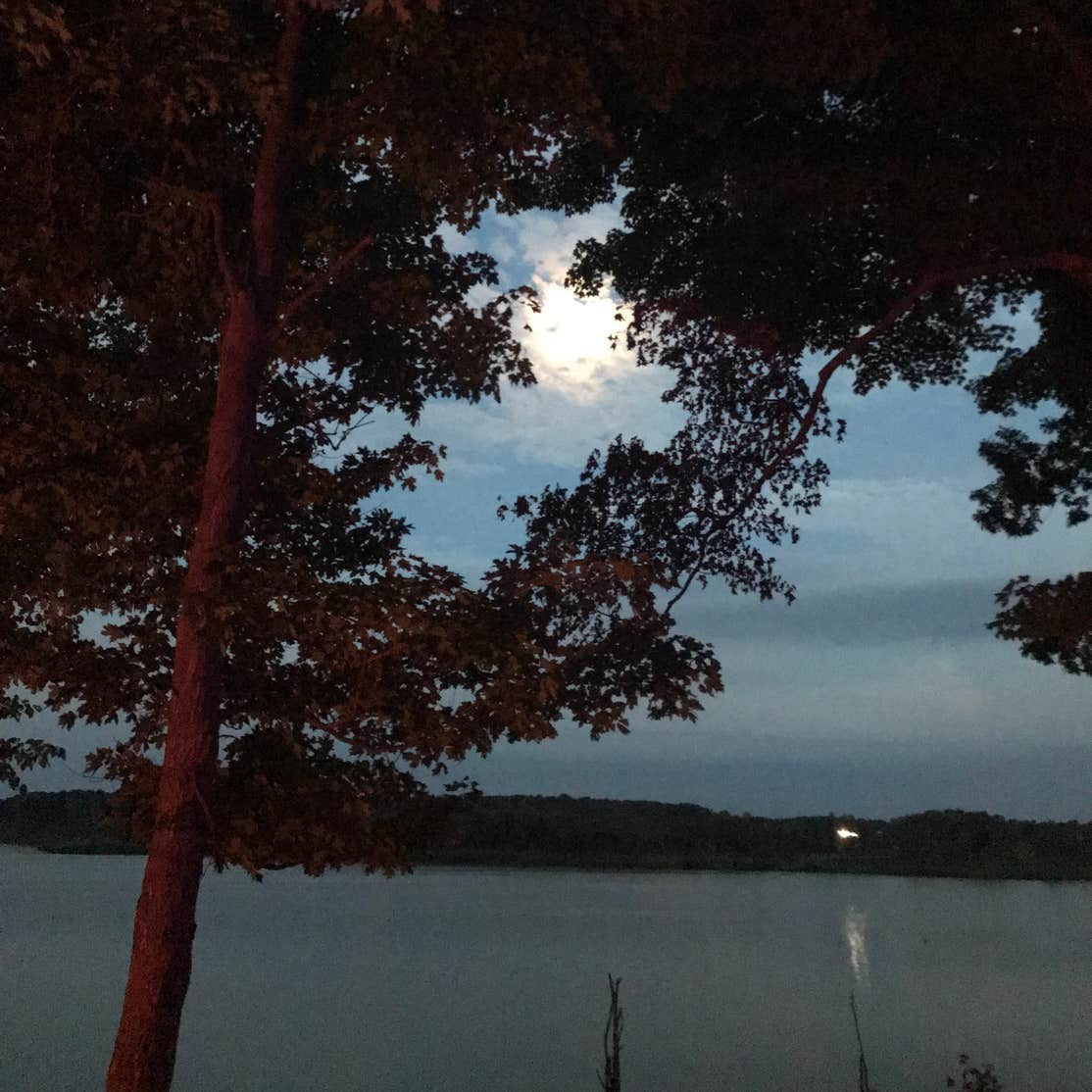 Kil-So-Quah - J. Edward Roush Lake Camping | The Dyrt