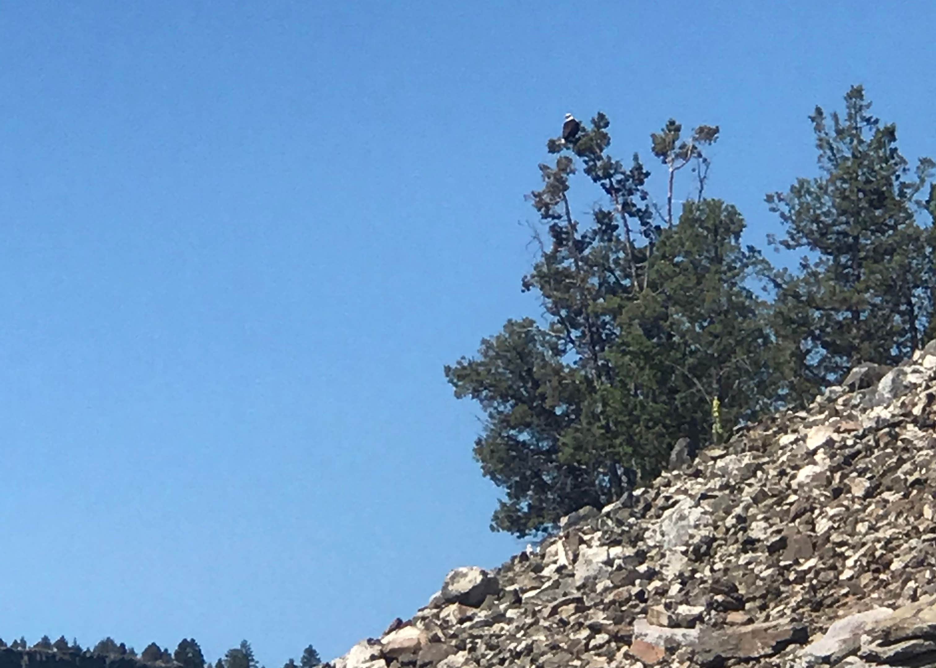 Ochoco Lake County Park Camping | The Dyrt