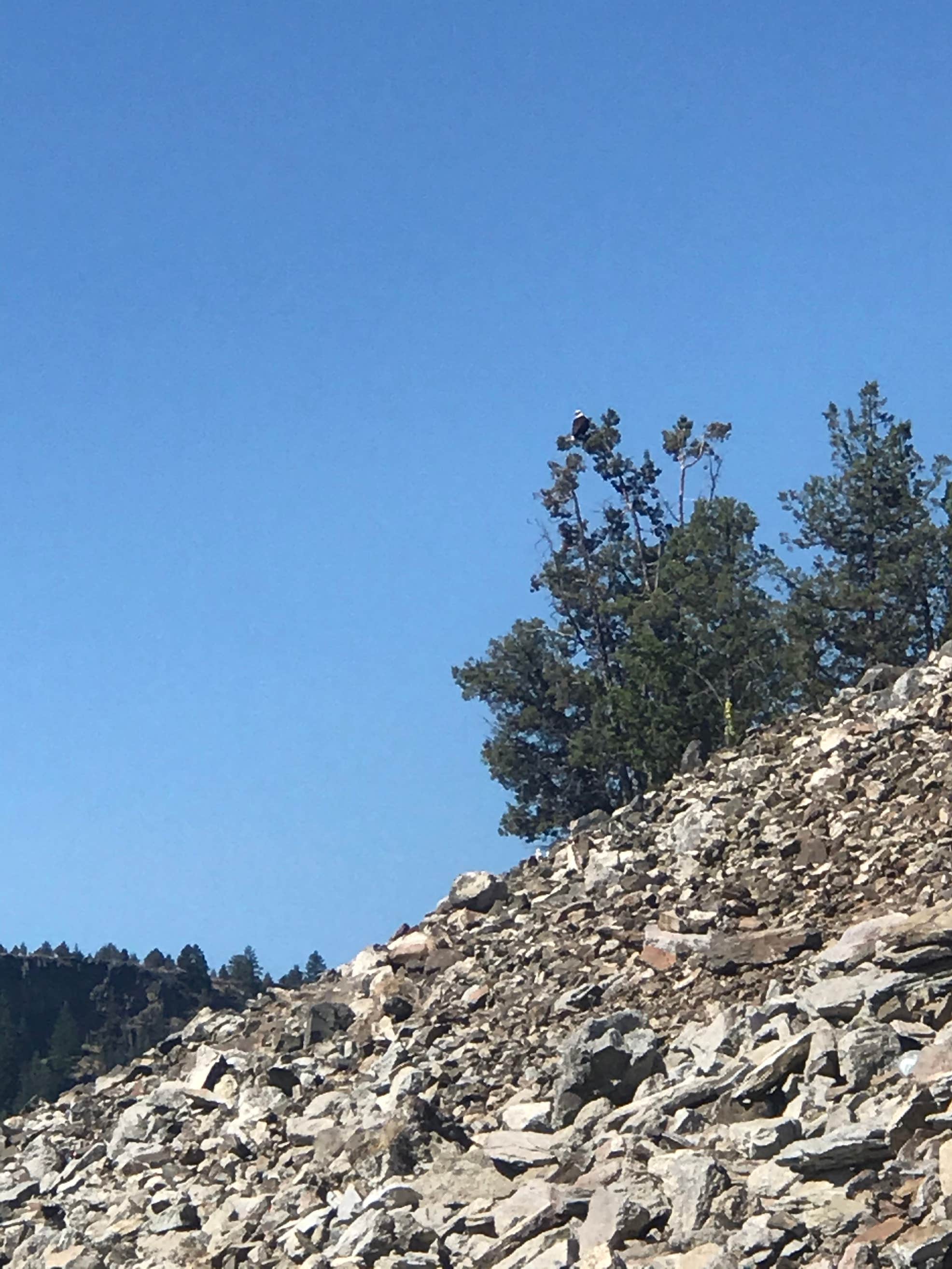 Ochoco Lake County Park Camping | The Dyrt