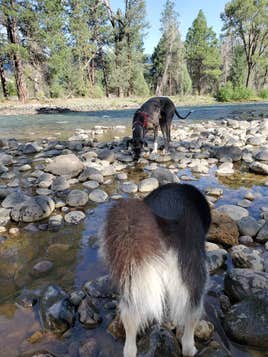 Durango North-Riverside KOA Camping | The Dyrt