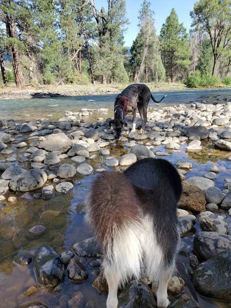 Durango North-Riverside KOA Camping | The Dyrt