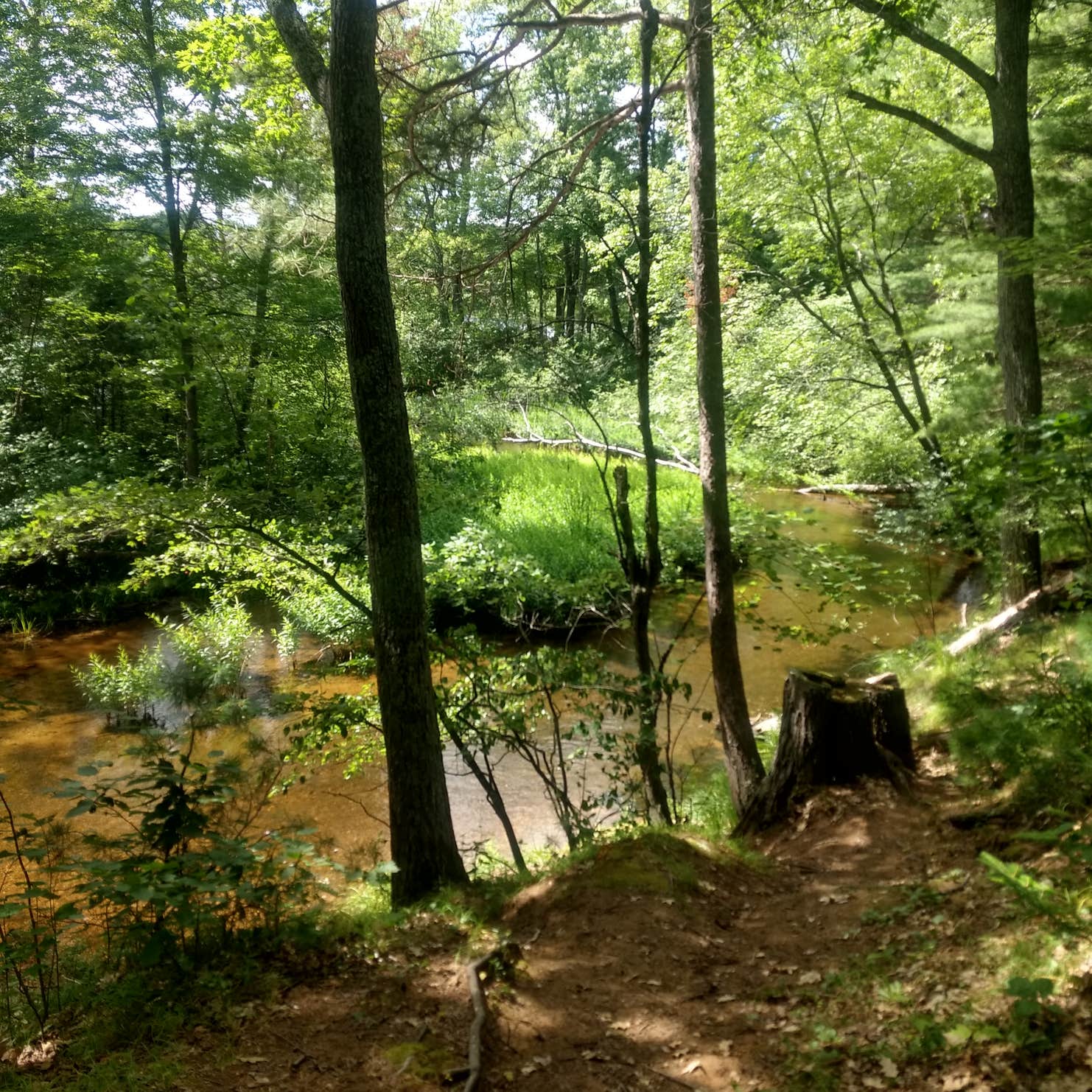 Plum Lake — Northern Highland State Forest Camping | Sayner, Wisconsin