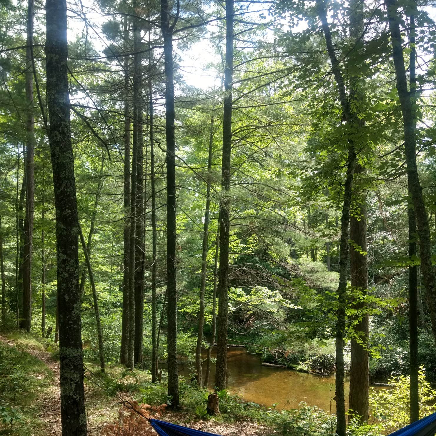 Plum Lake — Northern Highland State Forest Camping | Sayner, Wisconsin