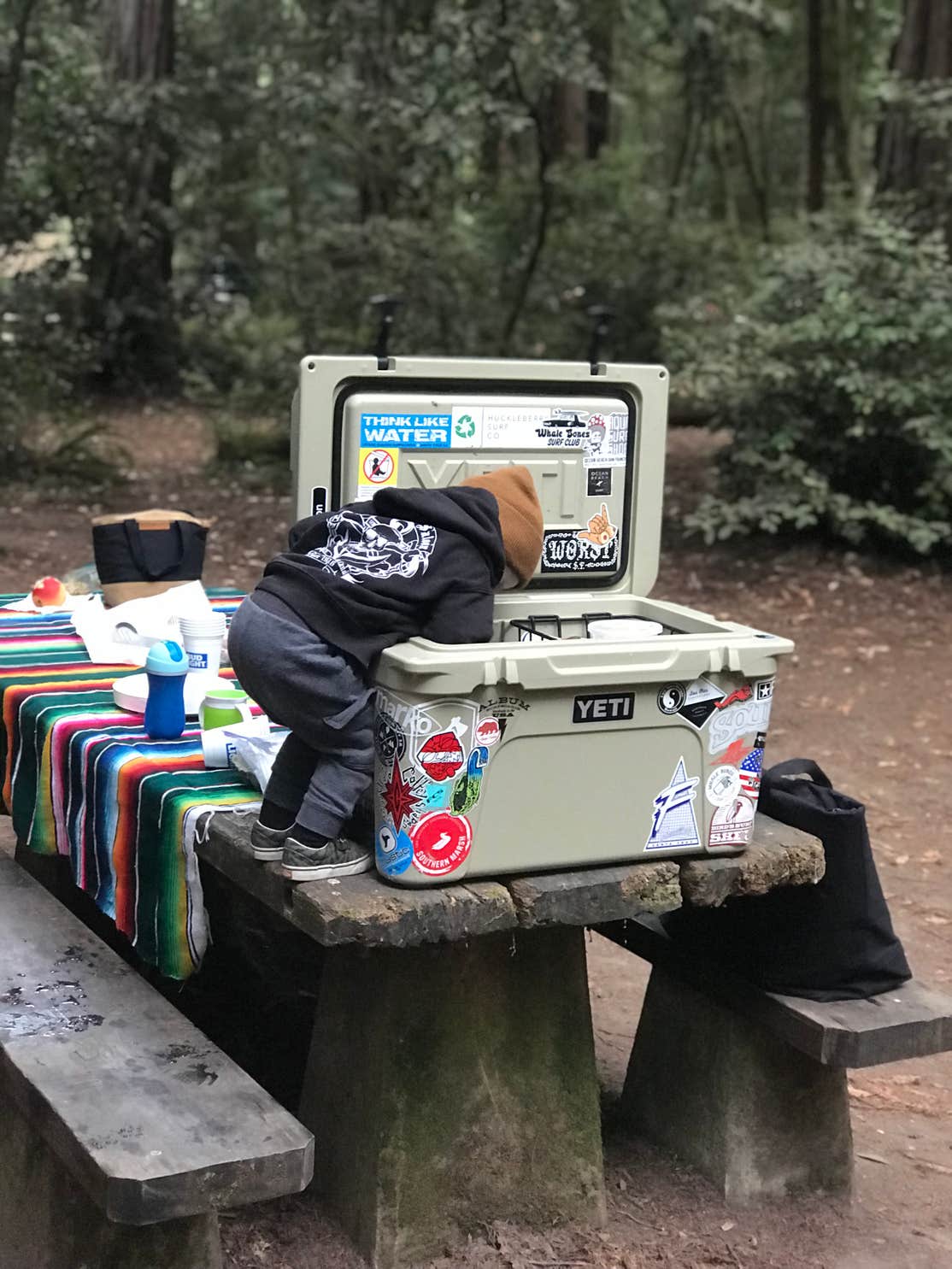 San Mateo County Memorial Park | The Dyrt