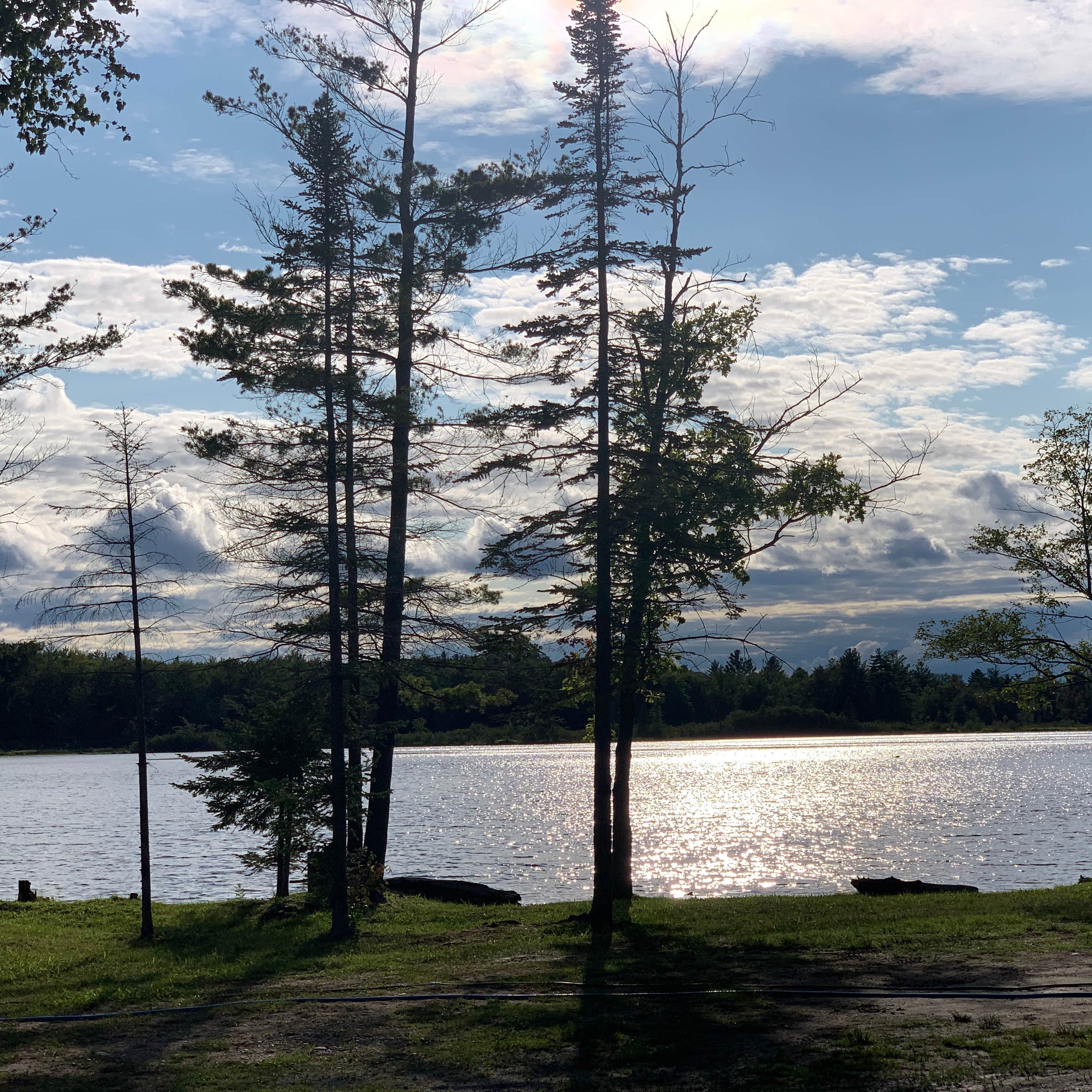 Campers Cove RV Park And Canoe Livery Camping | The Dyrt