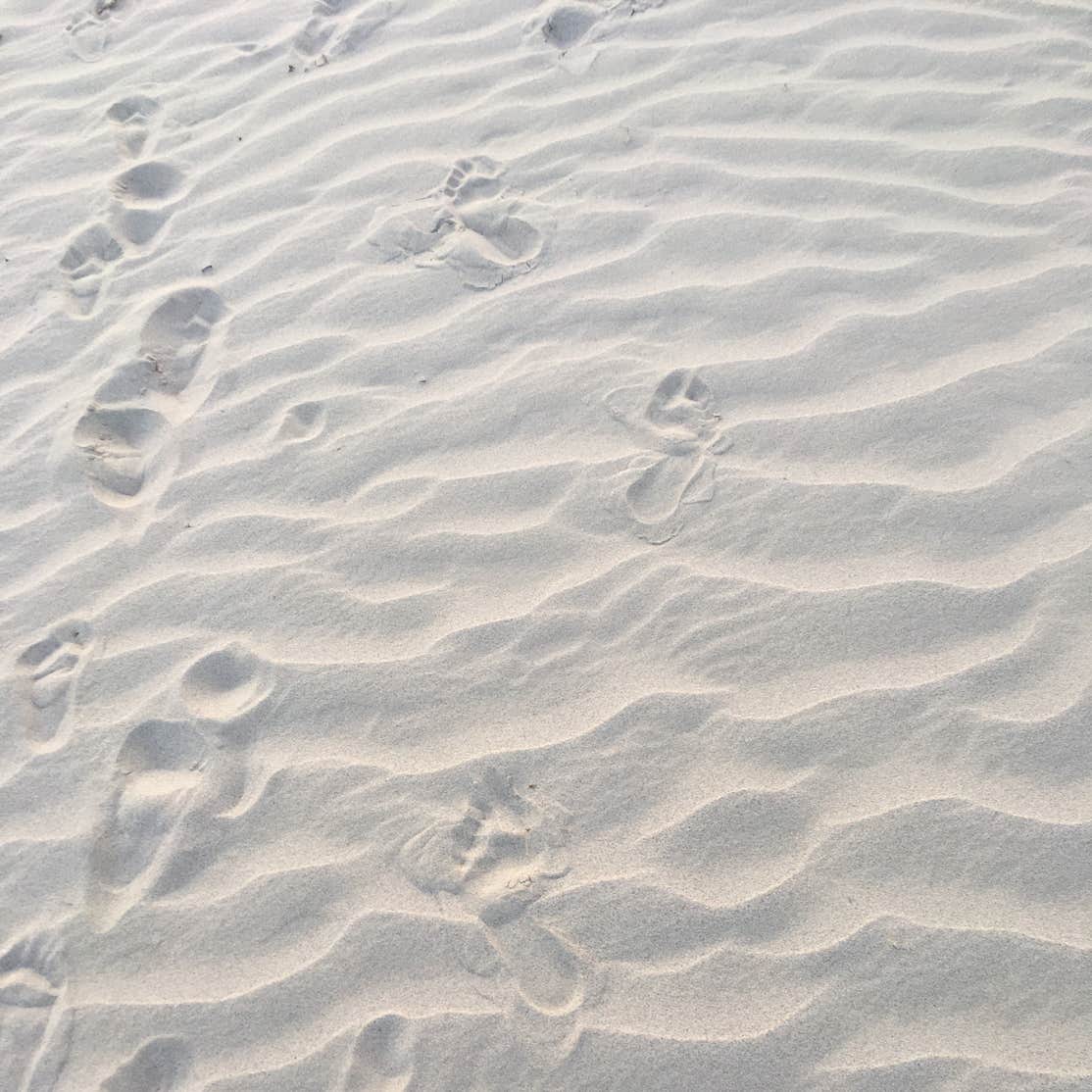 Cedar View Campground — Lake McConaughy | Lewellen, Nebraska