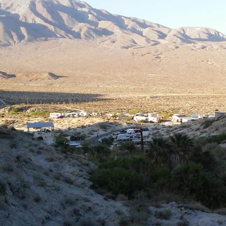 Agua Caliente County Park Campground Camping | The Dyrt