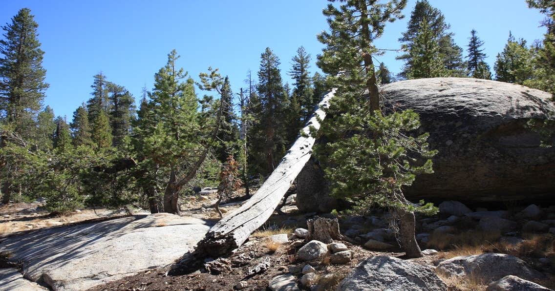 Marmot Rock Campground | Sierra National Forest, California