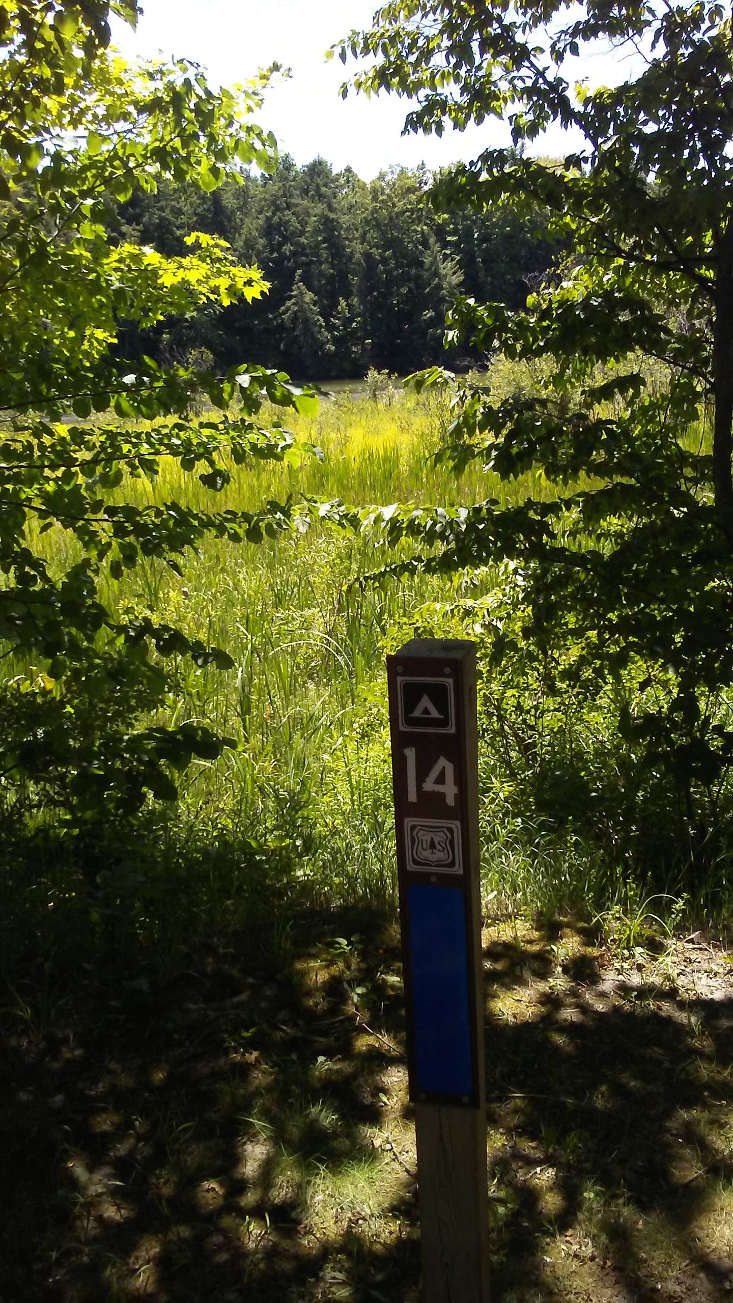 Manistee National Forest Red Bridge Rive Camping Camping | The Dyrt