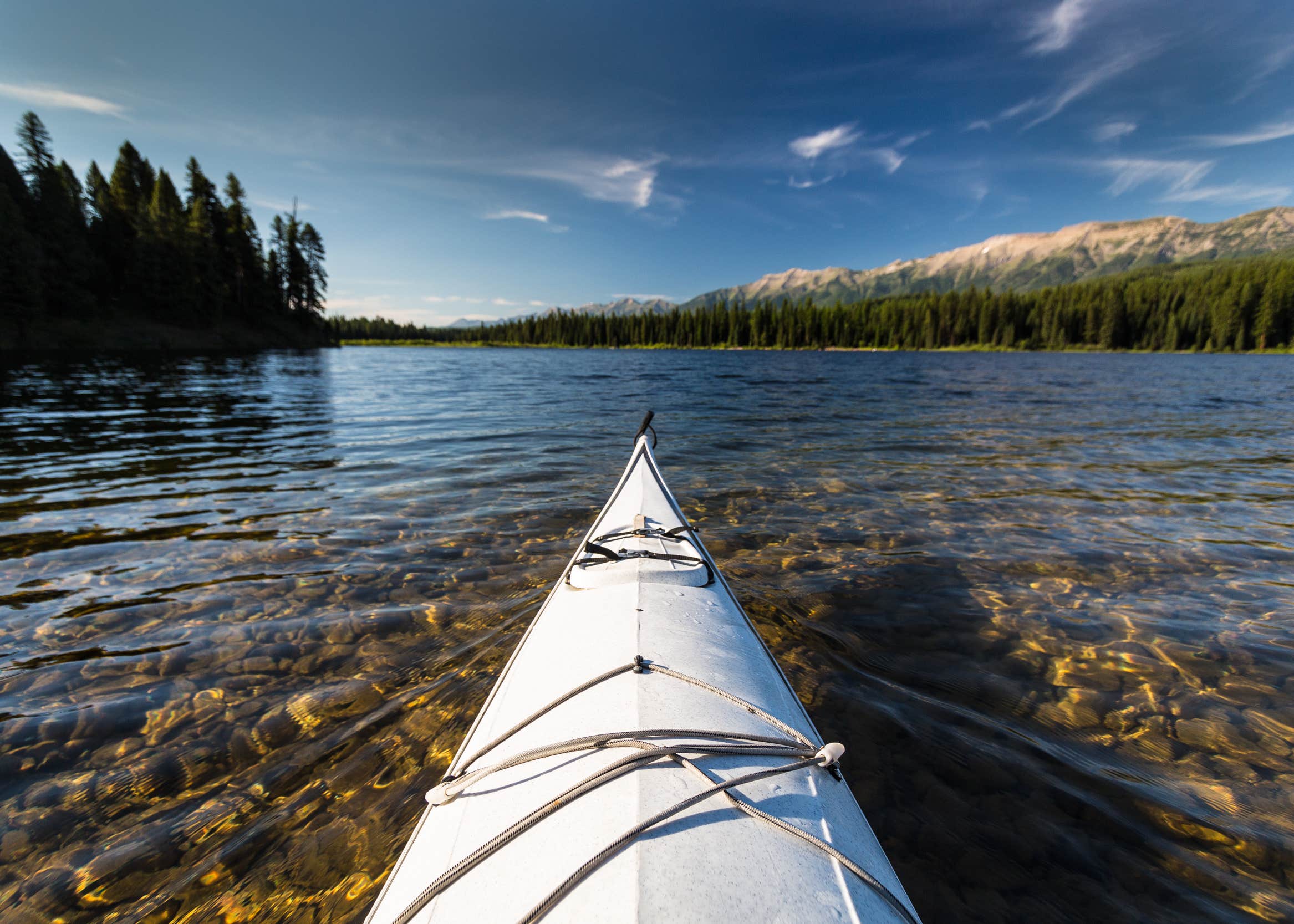 Lakeside Campground - Lolo National Forest Camping | The Dyrt