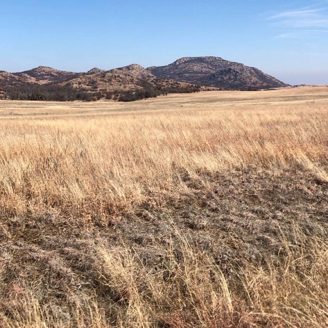 Doris Campground Camping | The Dyrt