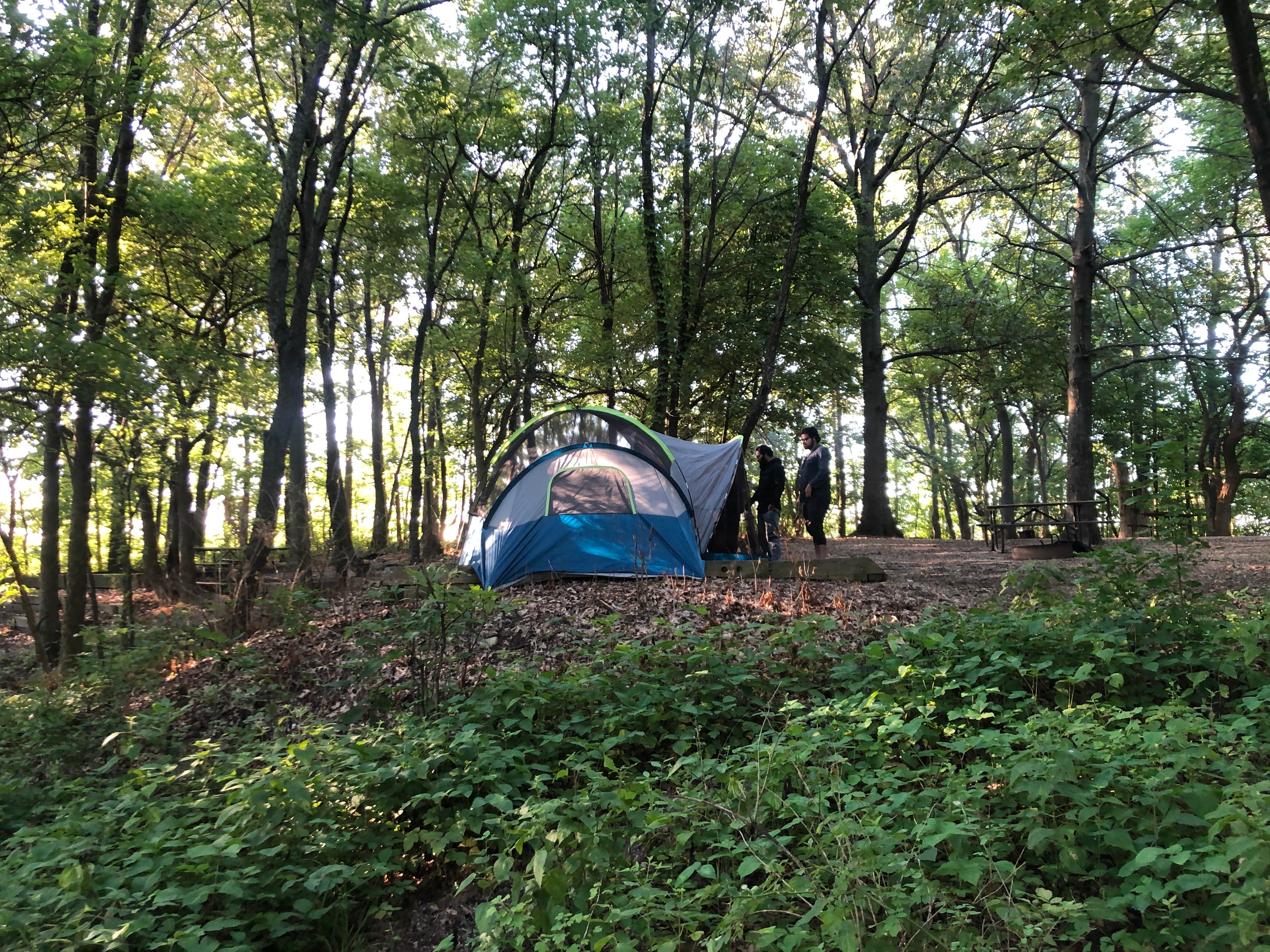 Clinton Lake State Recreation Area Camping | Weldon, Illinois