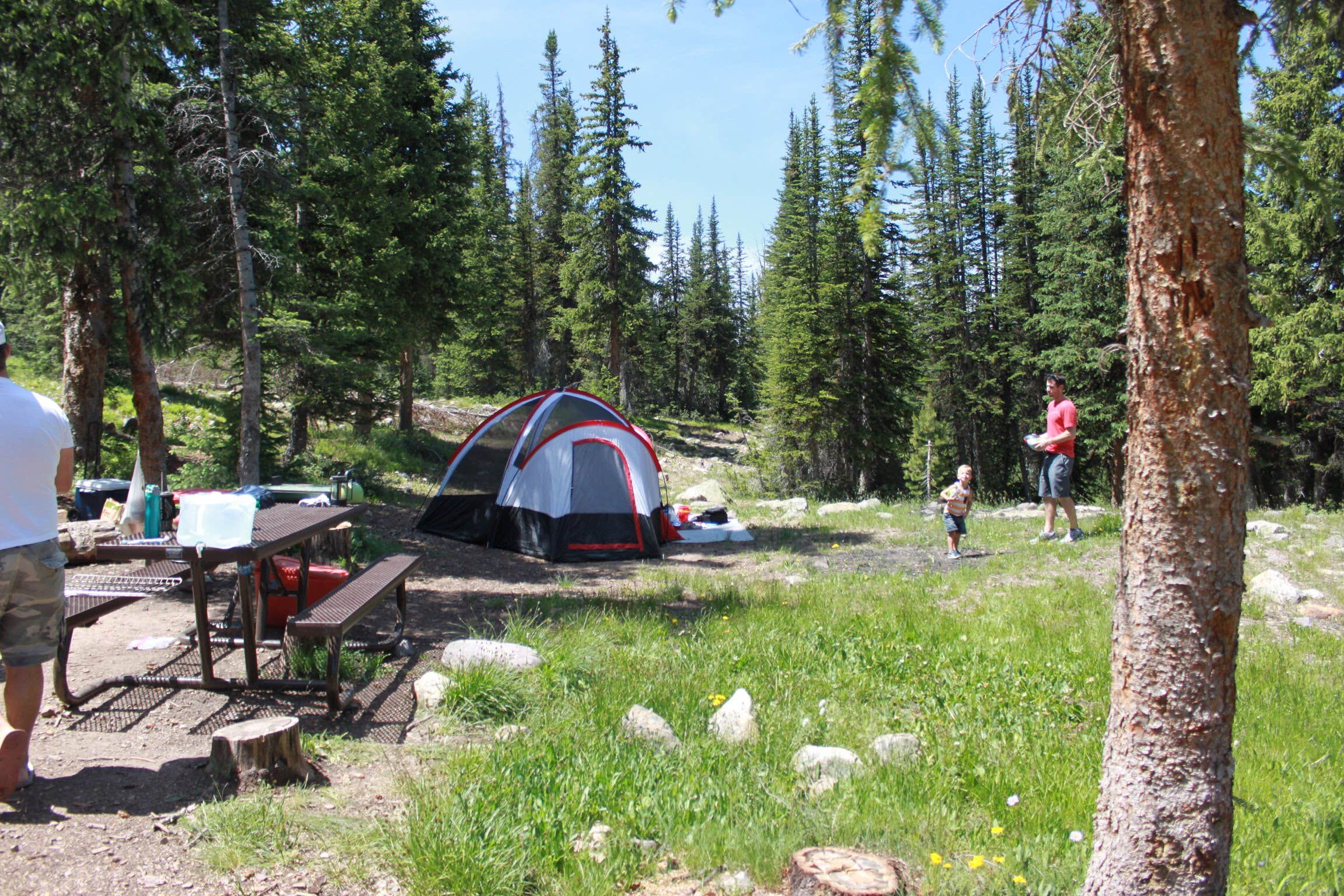 Lost Creek Campground | Kamas, UT