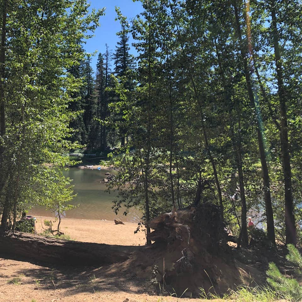 Goose Lake Campground | Trout Lake, Washington