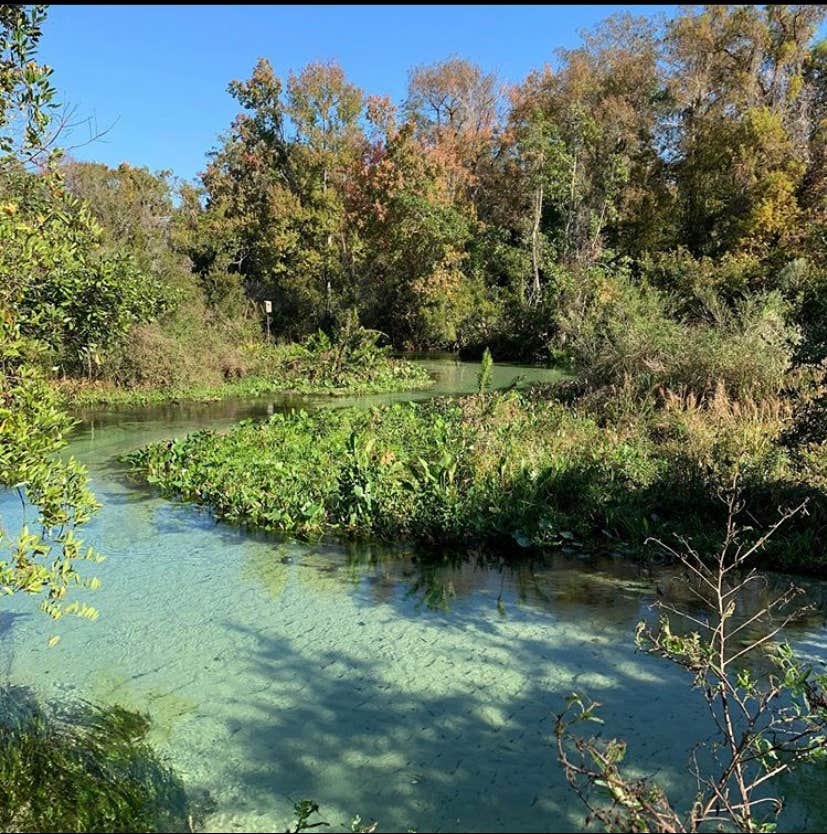 Kelly Park Campground | The Dyrt