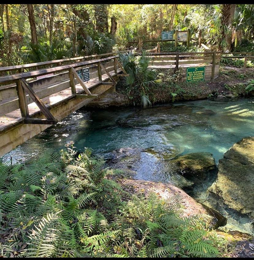 Kelly Park Campground | The Dyrt