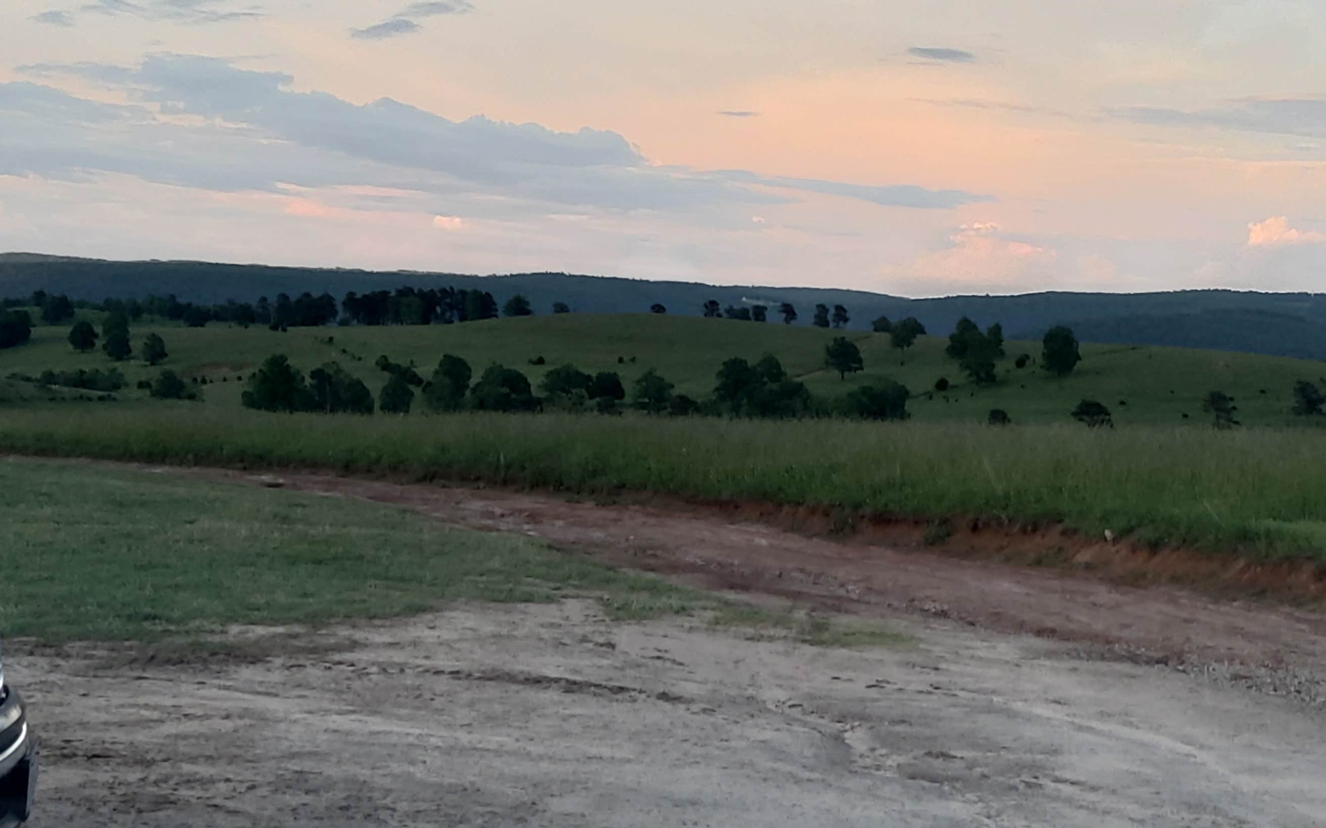 Wilderness Rider Buffalo Ranch and Adventure Park | The Dyrt