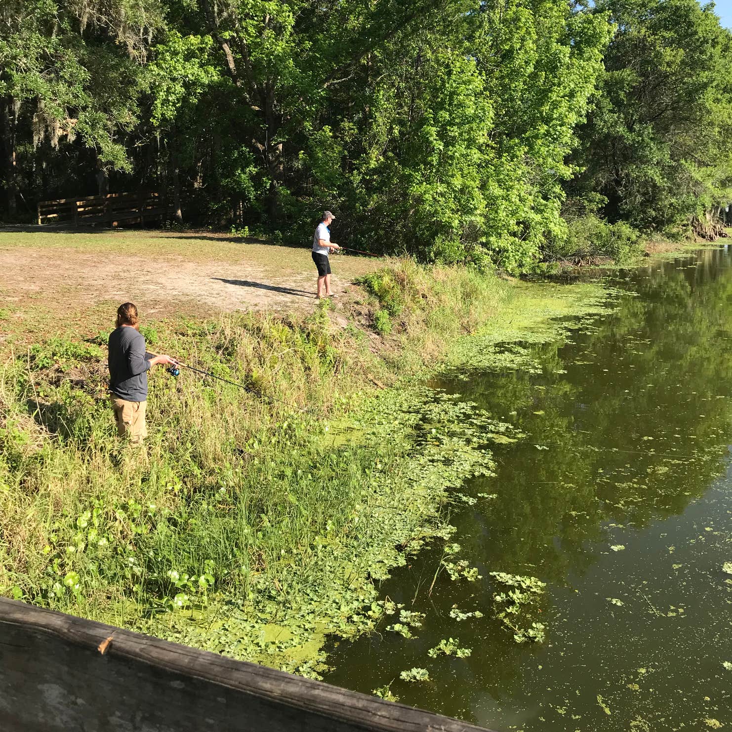 Edward Medard Park Camping | Durant, Florida