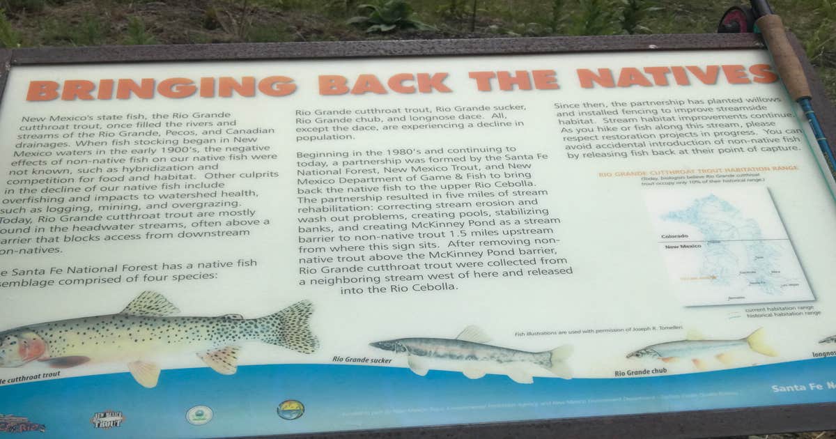 Calaveras Canyon Camping | Jemez Springs, New Mexico