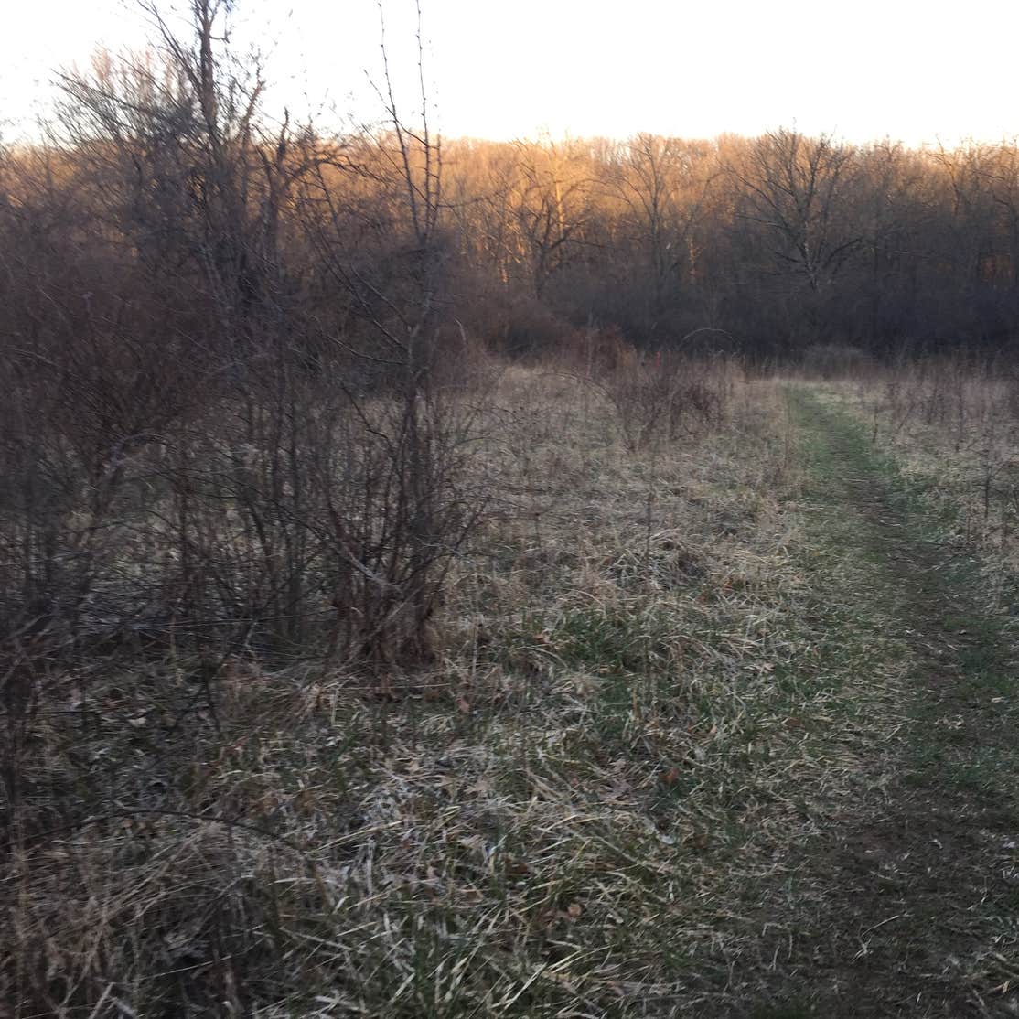 Camp Bullfrog Lake Camping | The Dyrt