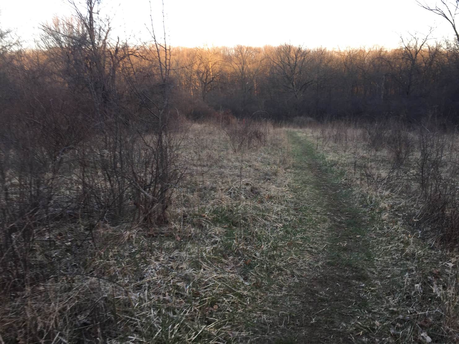 Camp Bullfrog Lake Camping | The Dyrt