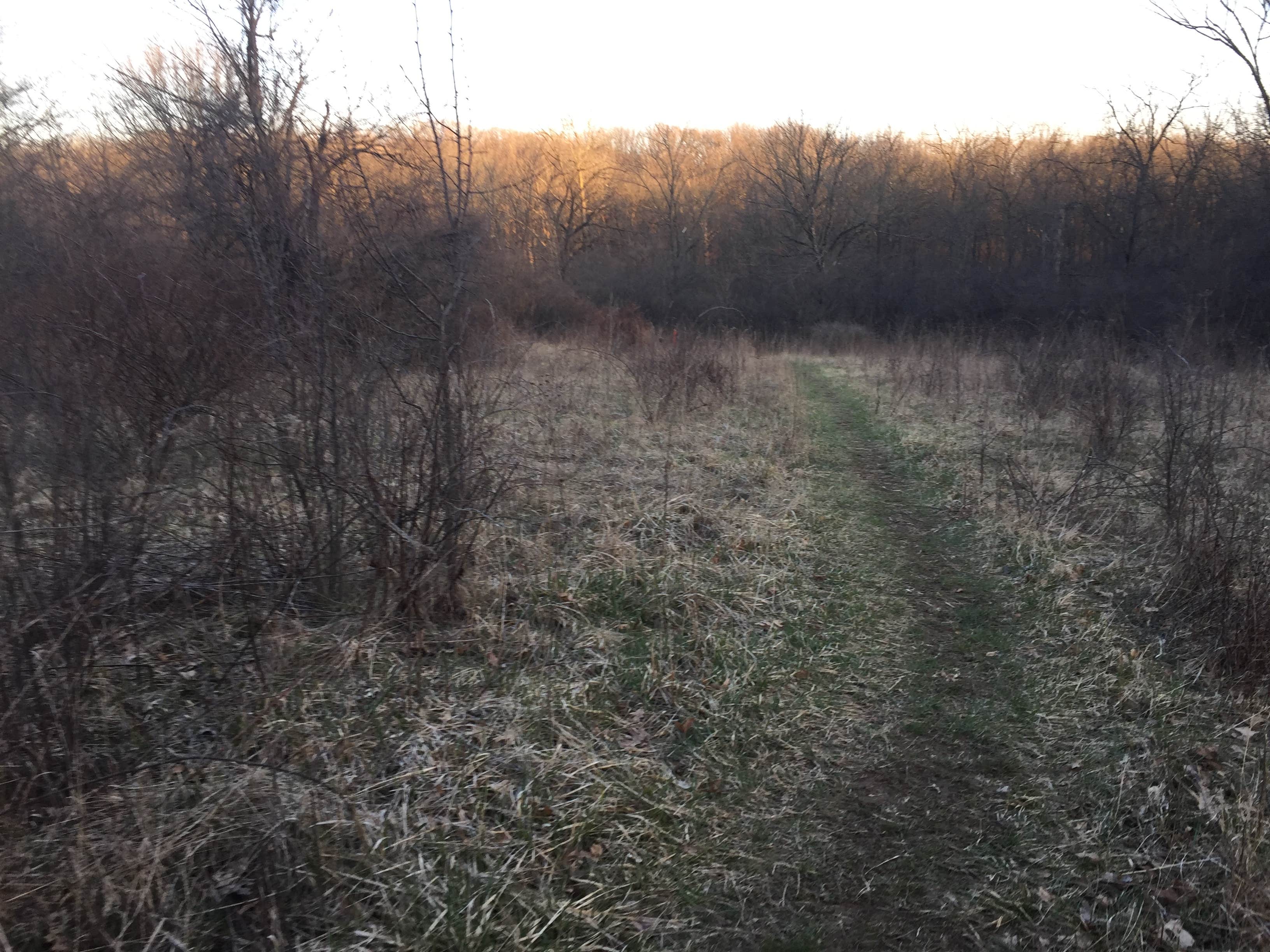 Camp Bullfrog Lake | Willow Springs, Illinois