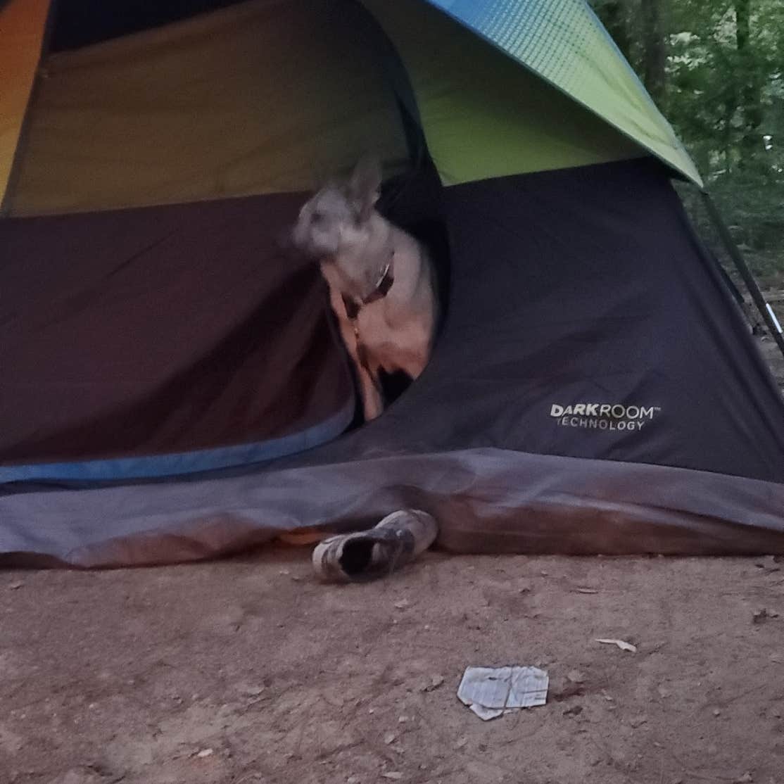 Backpack Campground — Ferne Clyffe State Park | Goreville, Illinois