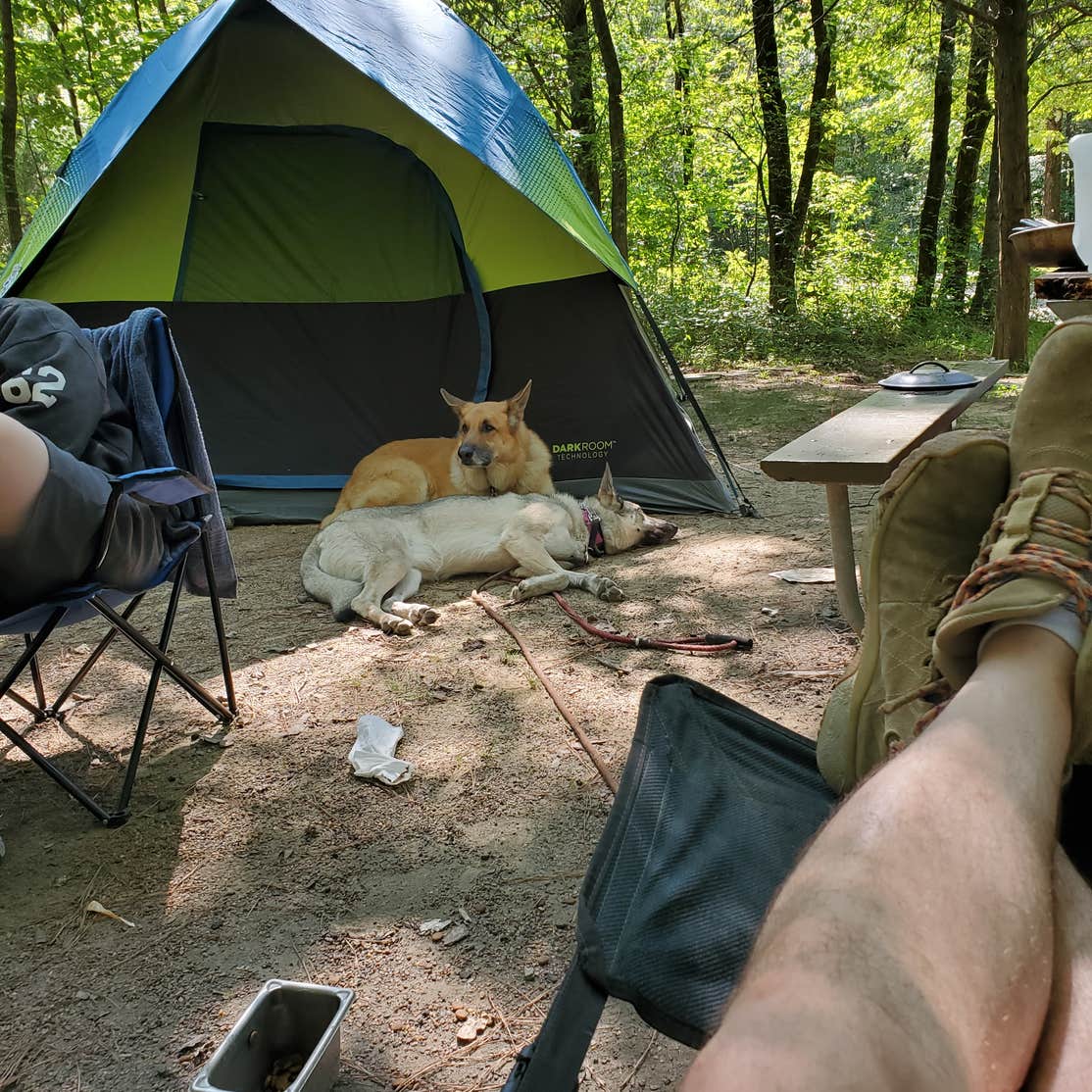 Backpack Campground — Ferne Clyffe State Park | Goreville, Illinois